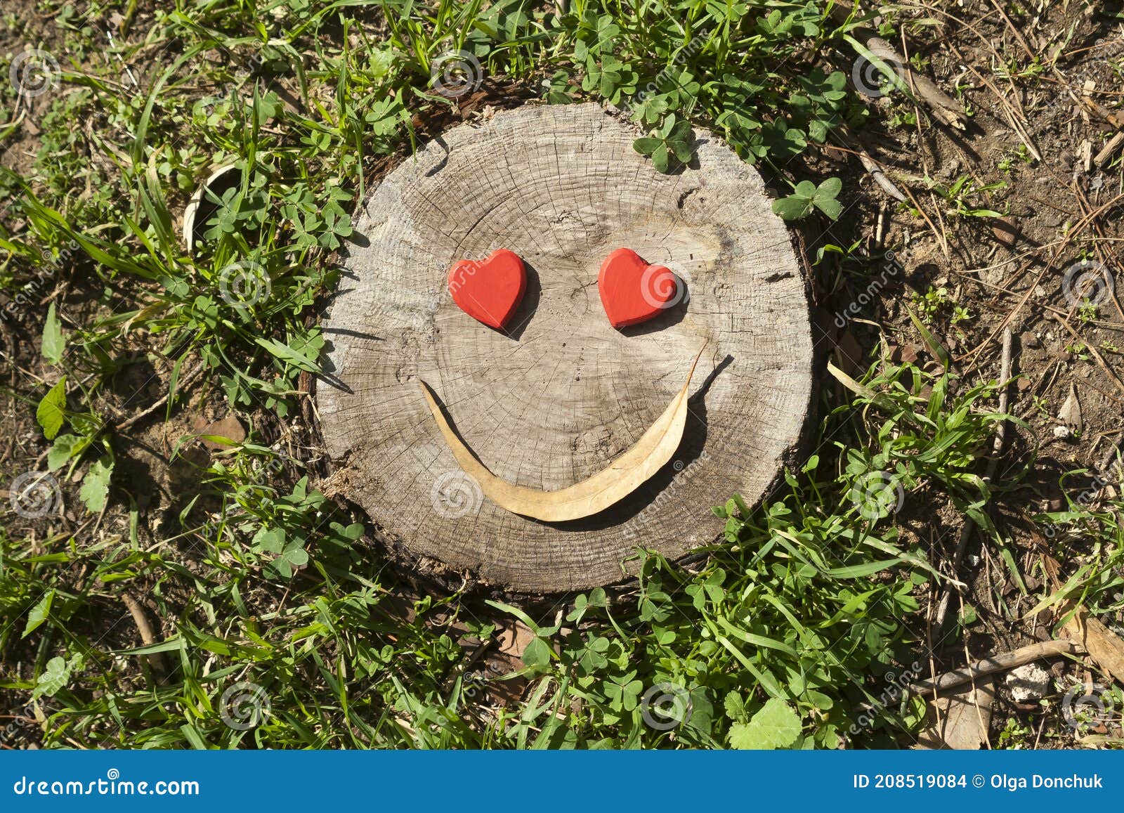 Funny face on tree stump stock photo. Image of valentine - 208519084