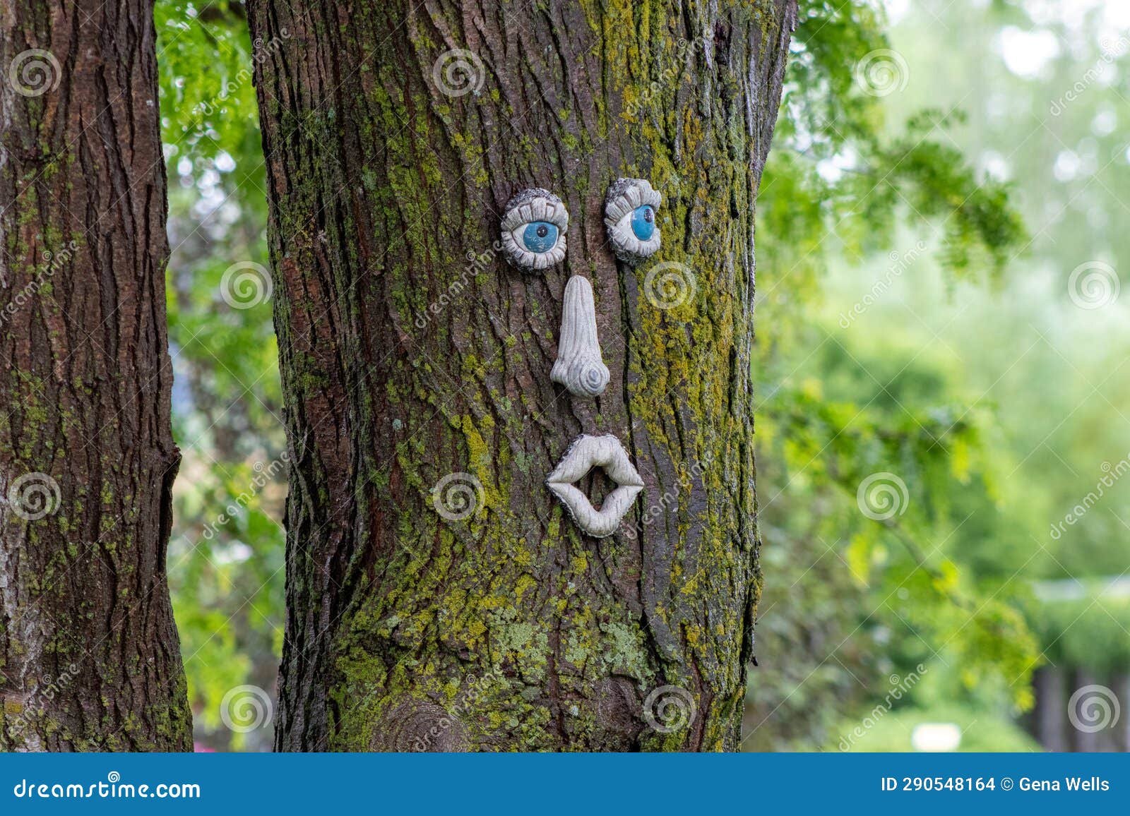 Funny Face on the Trunk of a Tree Stock Photo - Image of eyes, funny ...