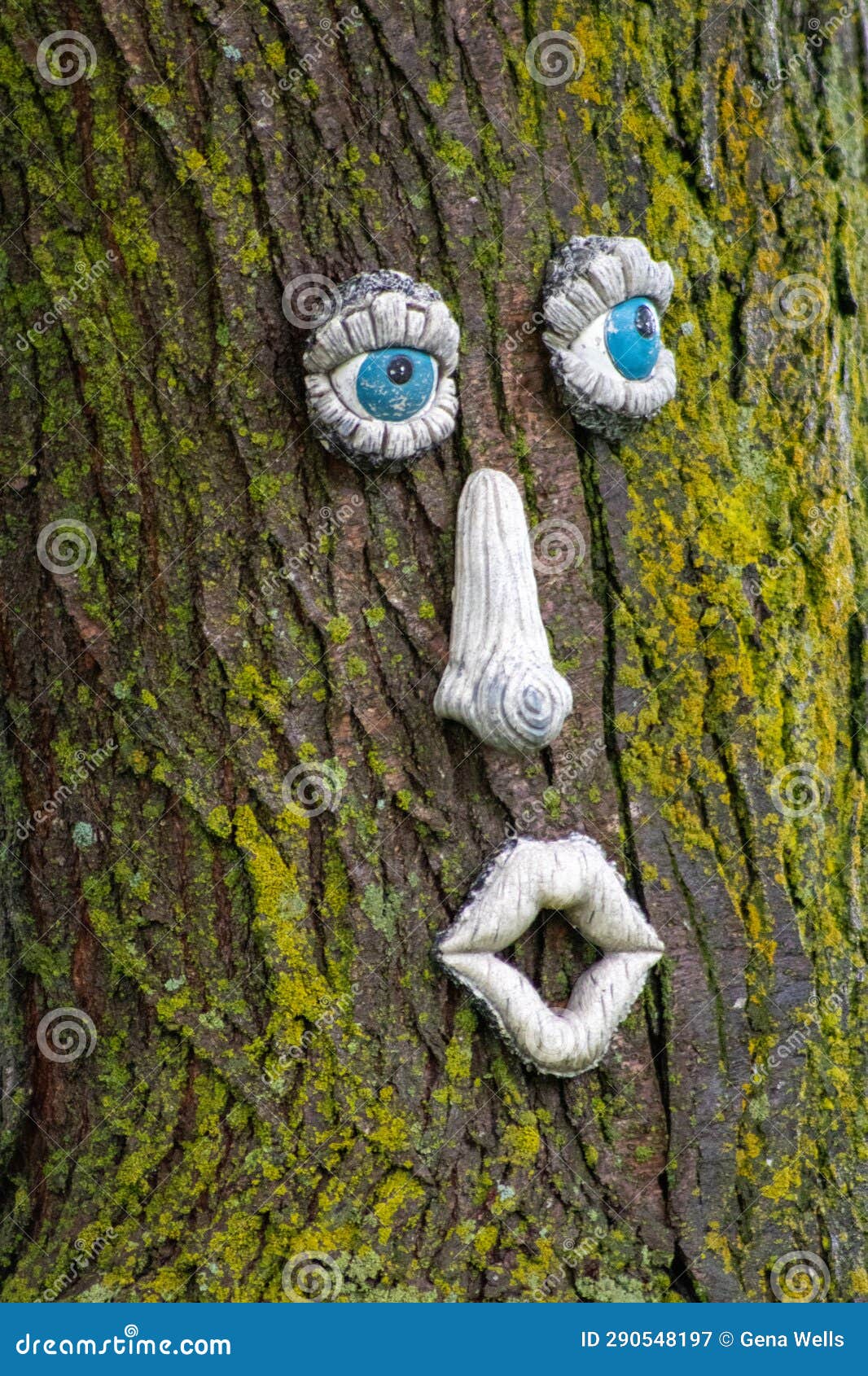 Funny Face on the Trunk of a Tree Stock Image - Image of mouth, nature ...