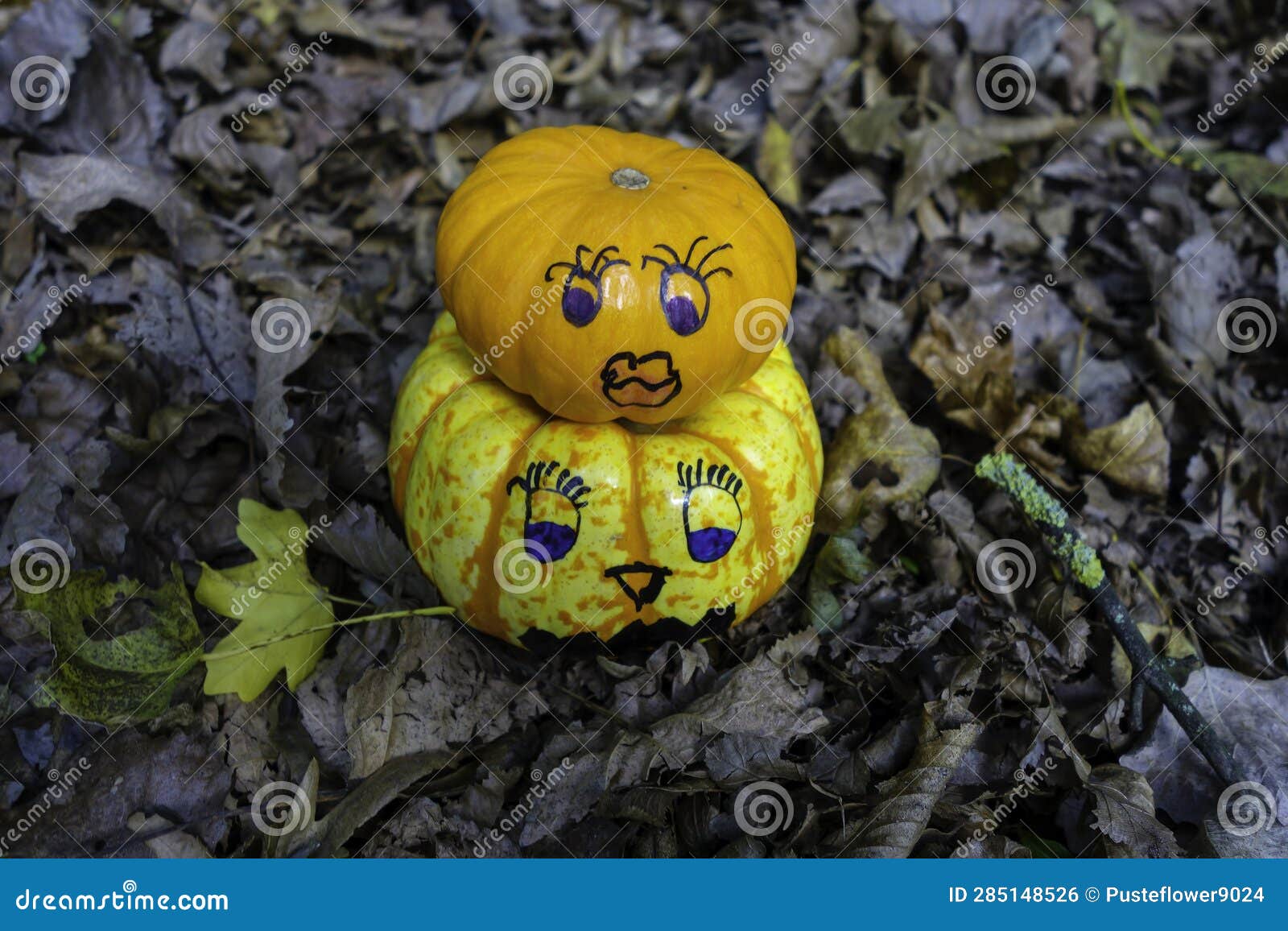 Funny Faces on Pumpkins in Autumn Leaves Stock Photo - Image of nature ...