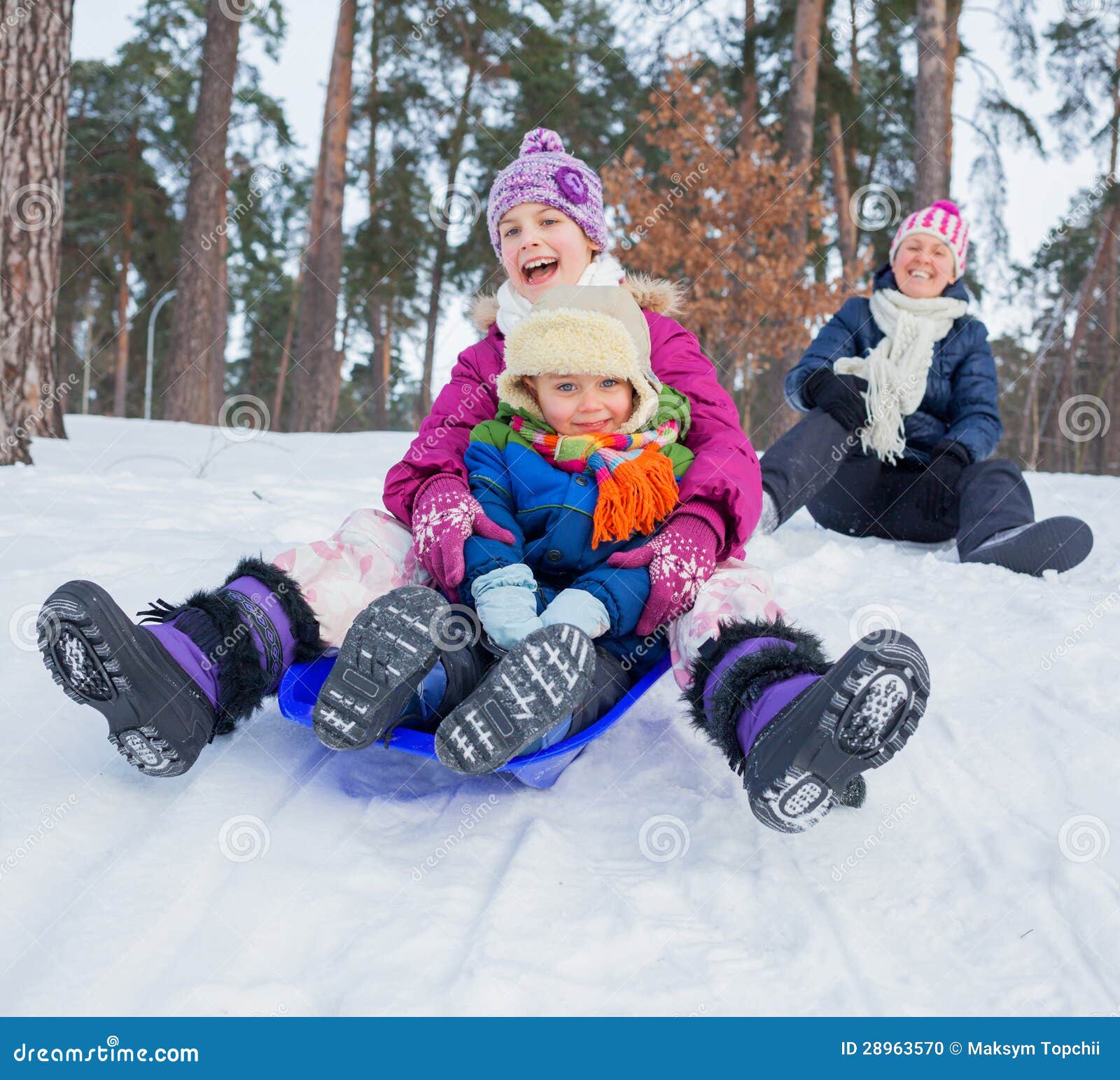Funny Family is Sledging in Winter-landscape Stock Photo - Image of ...