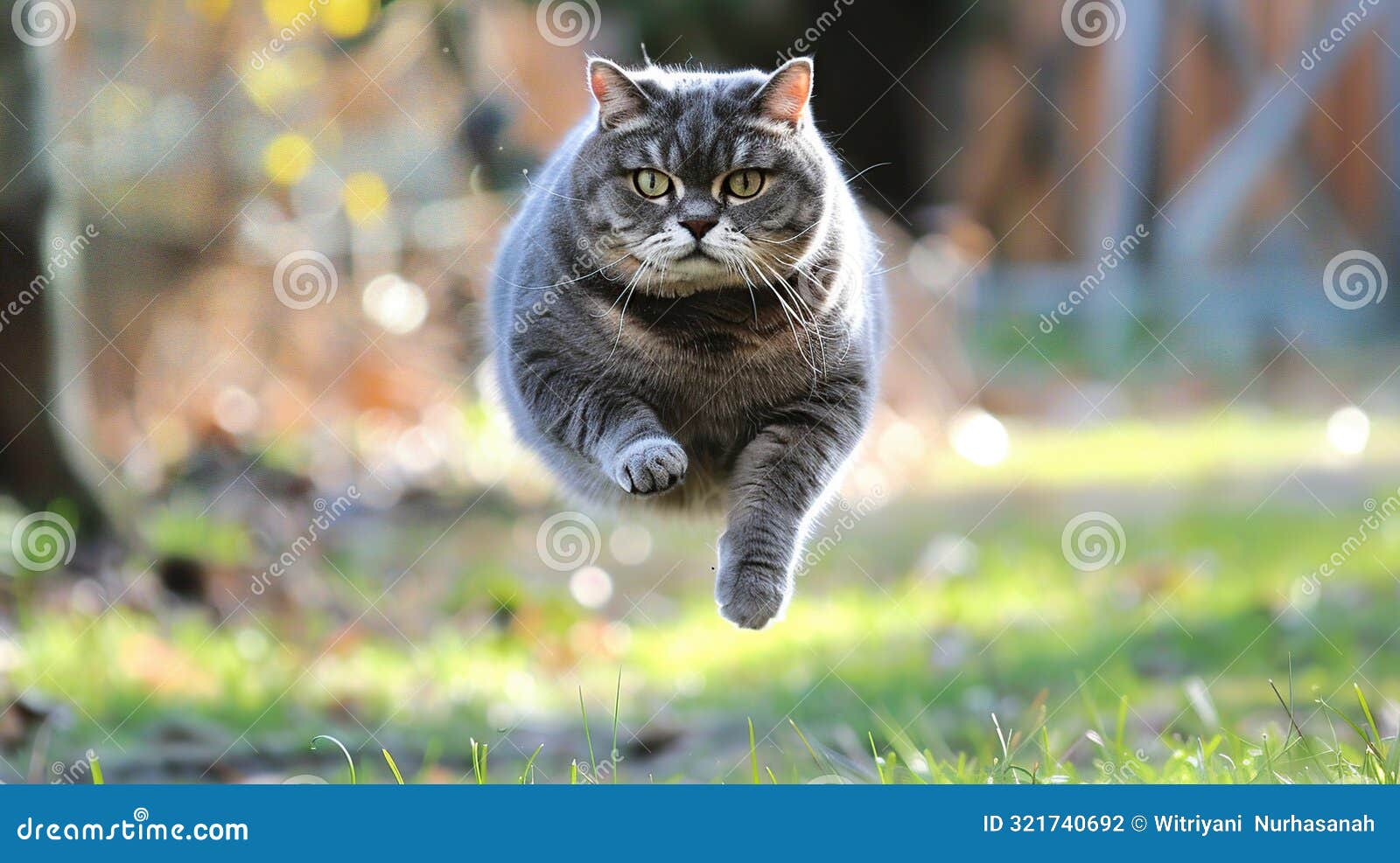 Funny Fat Cat Flying Like Super Men Style. Generative Ai Stock ...