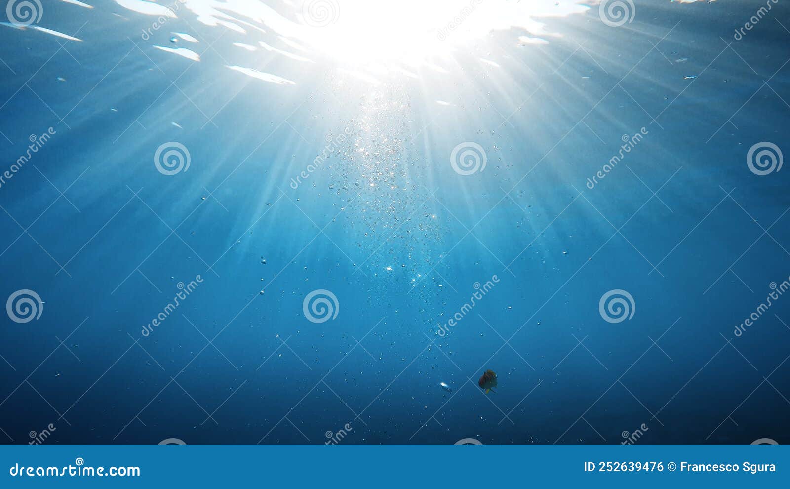 Funny Fish Swimming Happy Underwater Stock Footage - Video of water ...