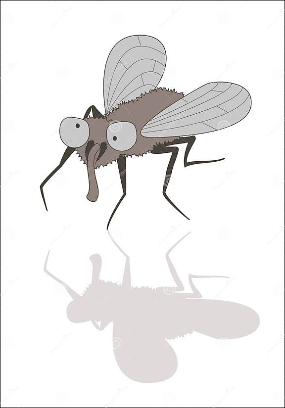 Funny Fly stock vector. Illustration of humor, caricature - 29244818