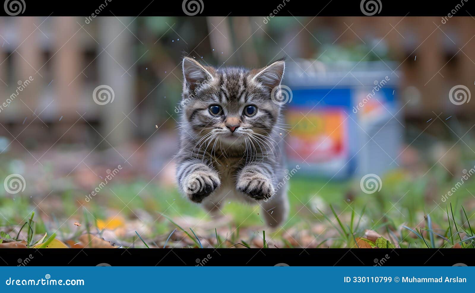 Flying Bear Stock Photography | CartoonDealer.com #20457188