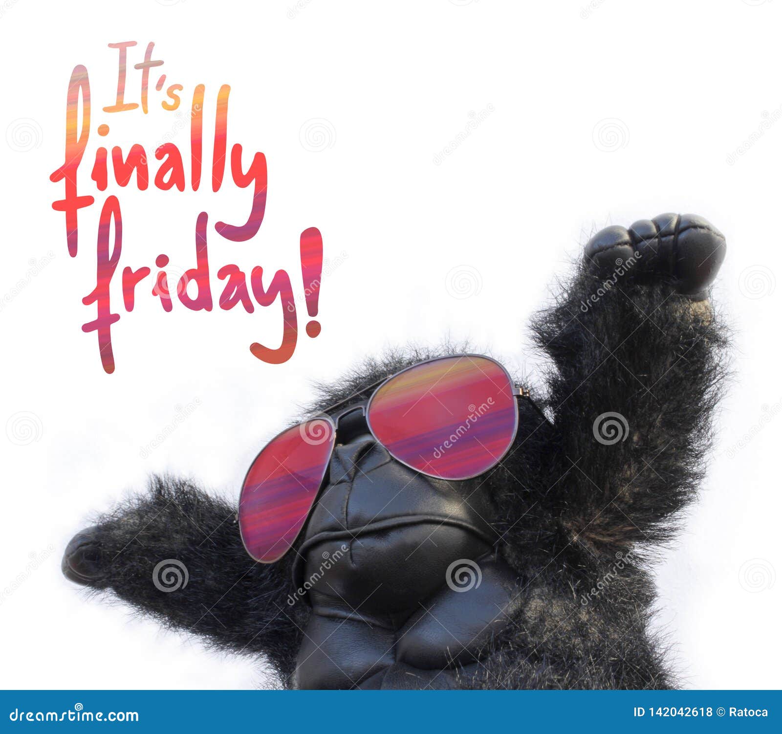 Finally Friday Funny