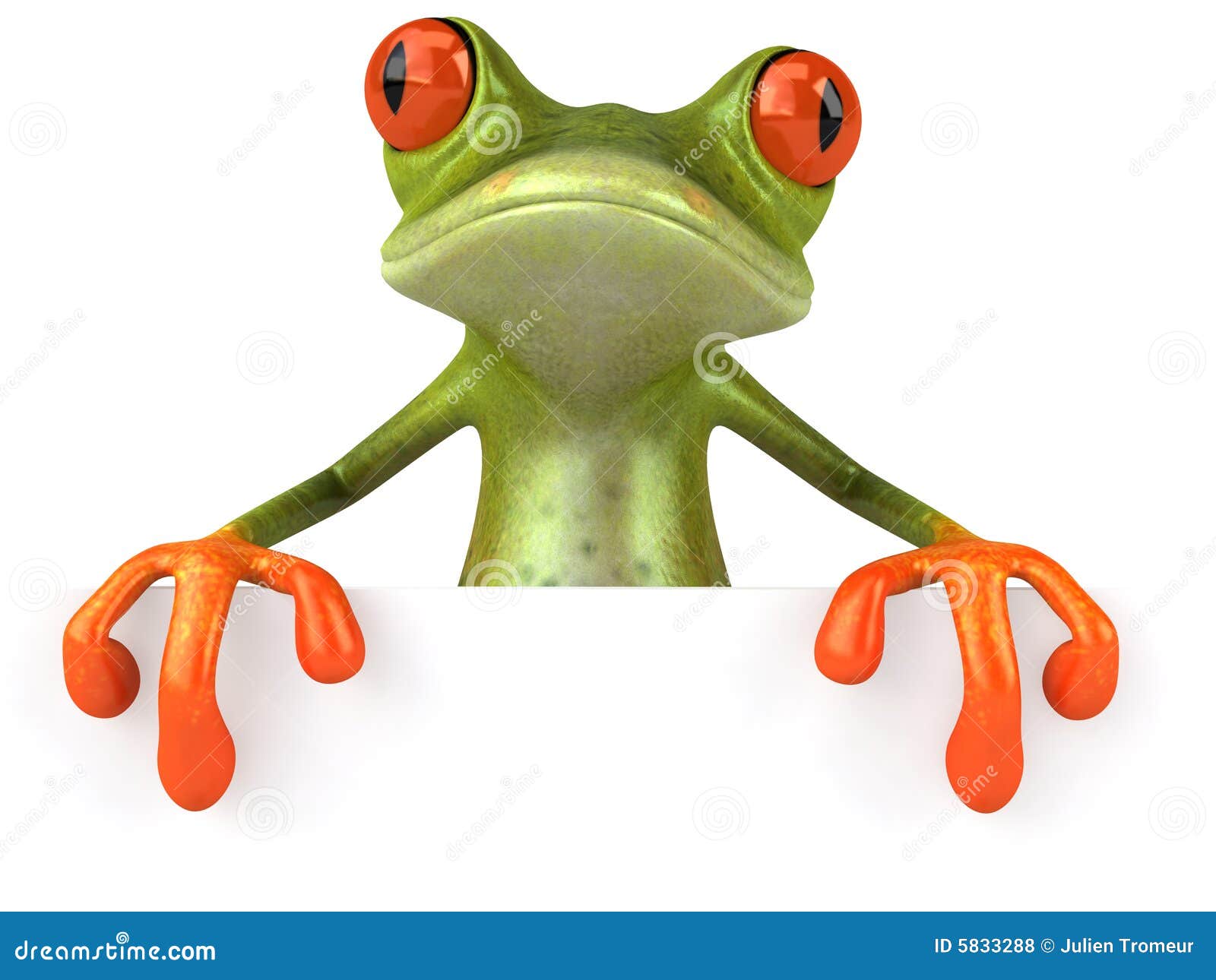 Funny Frog with a Blank Sign Stock Illustration - Illustration of ...