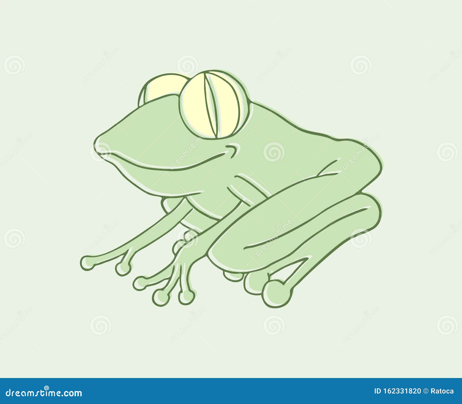 Funny frog draw stock vector. Illustration of tropical - 162331820
