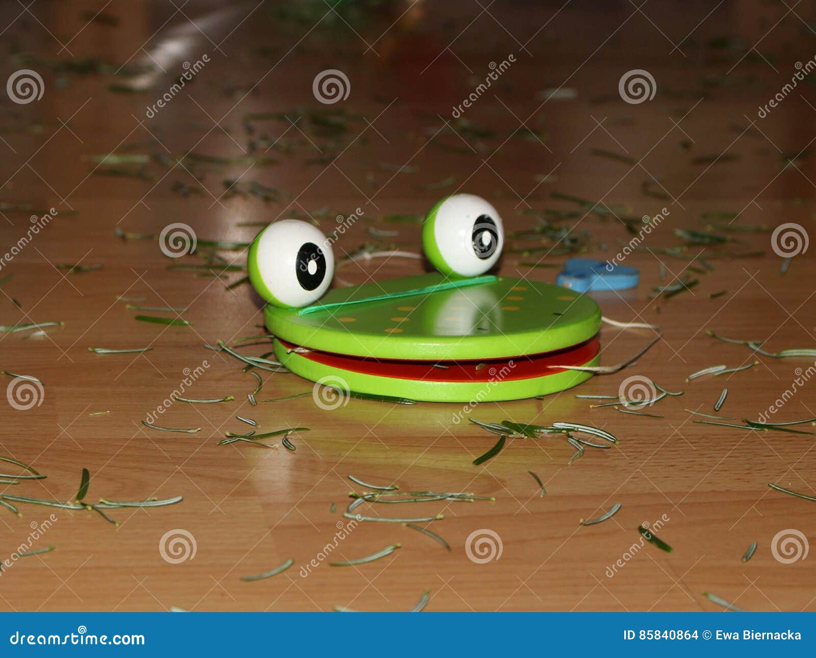 Funny frog stock photo. Image of smiling, funny, frog - 85840864