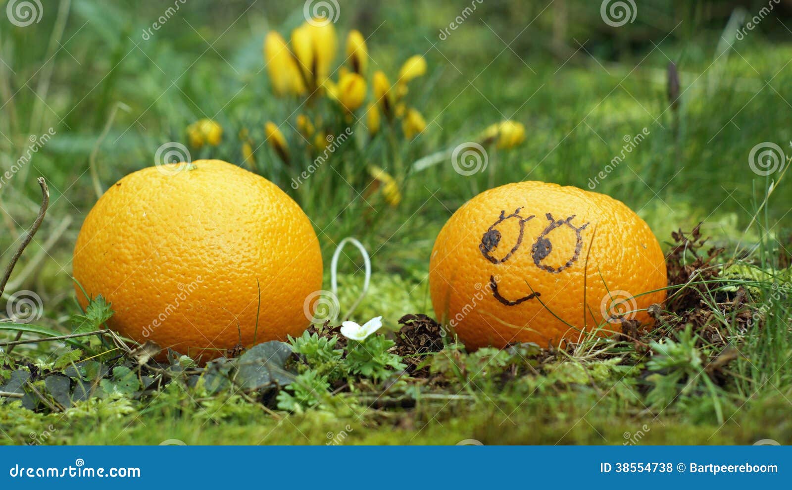 Funny fruit stock photo. Image of face, citrus, color - 38554738