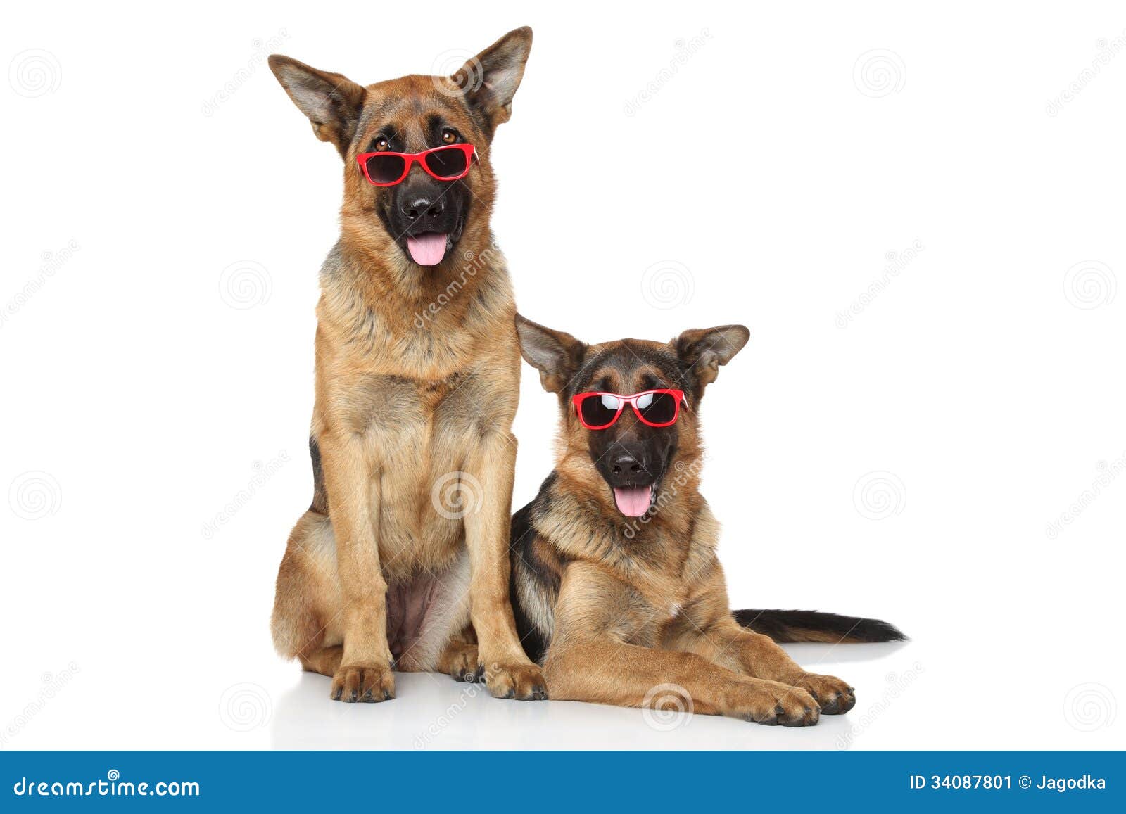 Funny German Shepherd Stock Photography | CartoonDealer.com #46602944