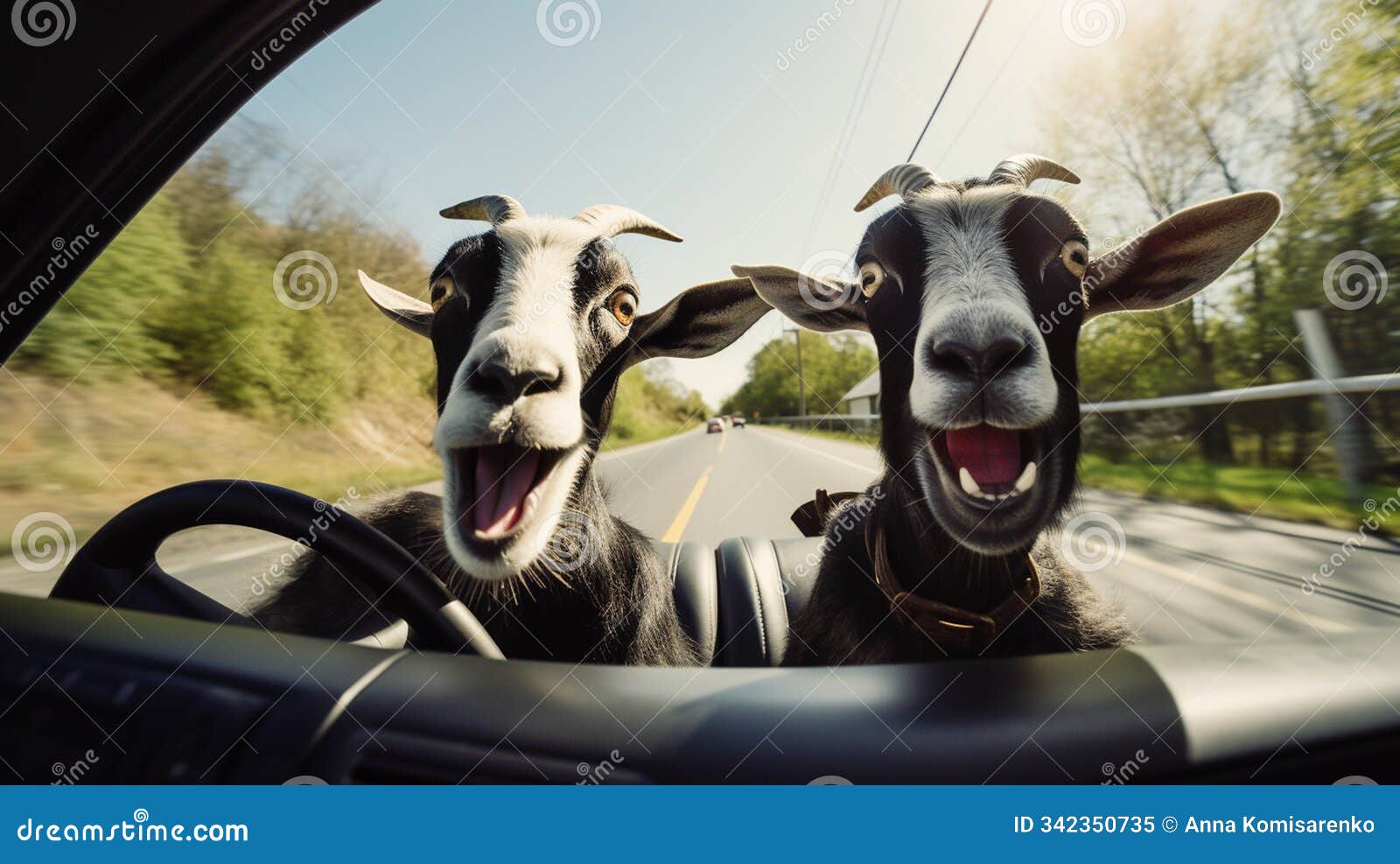 Funny Goats Driving with a Car.Generative AI Stock Image - Image of ...
