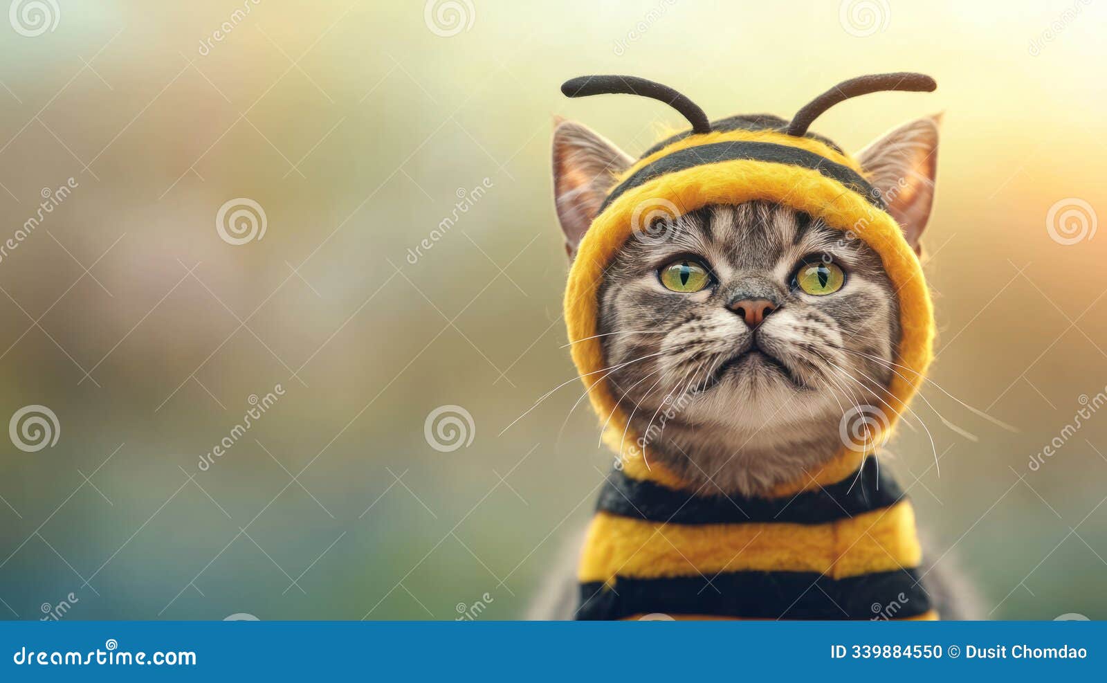 Funny Grumpy Cat in Bee Costume with Vibrant Colors and Playful ...