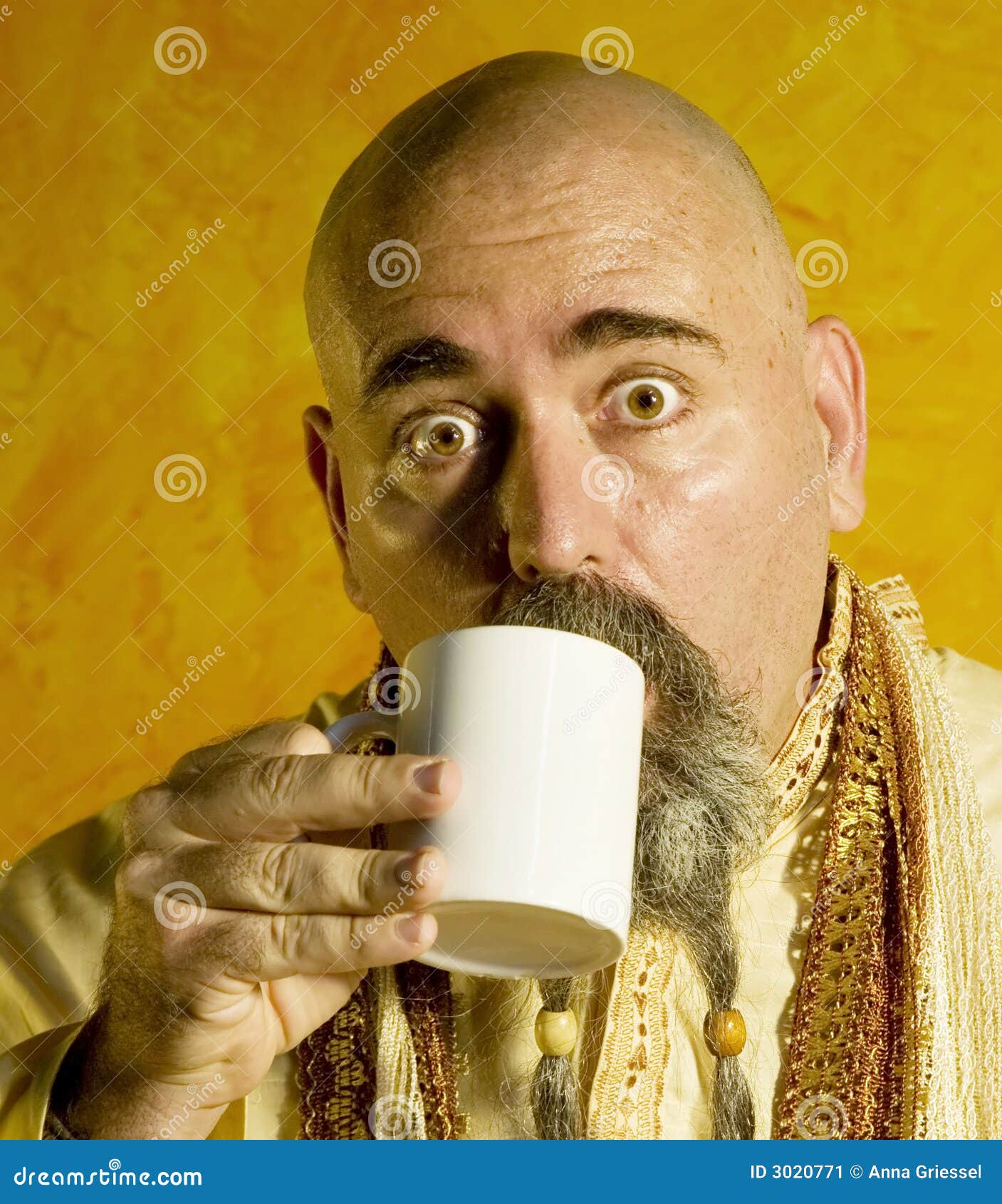 Funny Guru stock image. Image of master, bald, elnightenment - 3020771