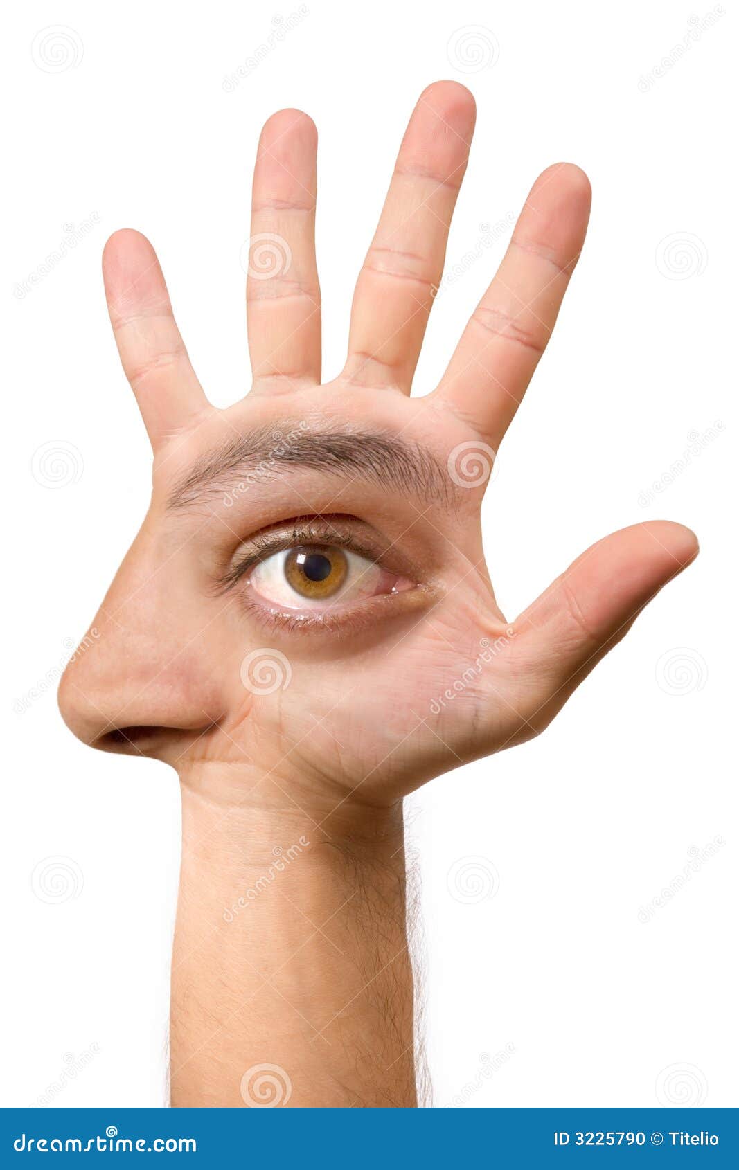 Funny hand stock photo. Image of hand, anatomy, comic - 3225790