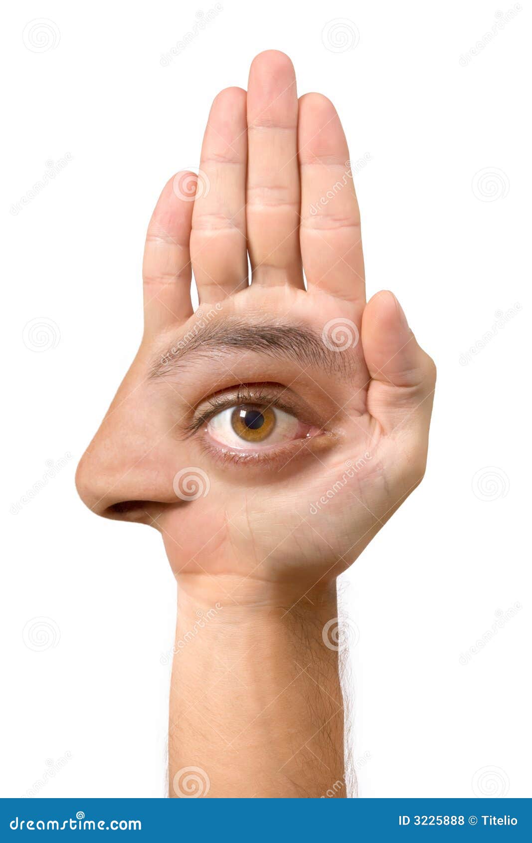 Funny hand stock photo. Image of rare, hands, curious - 3225888