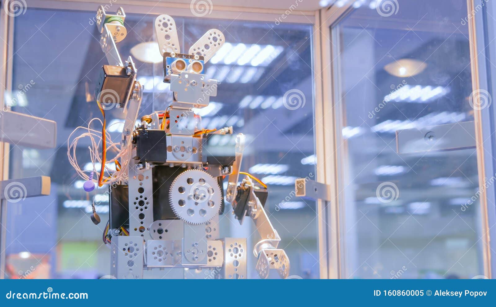 Funny Handmade Robot Rabbit Dancing Stock Image - Image of exercise ...