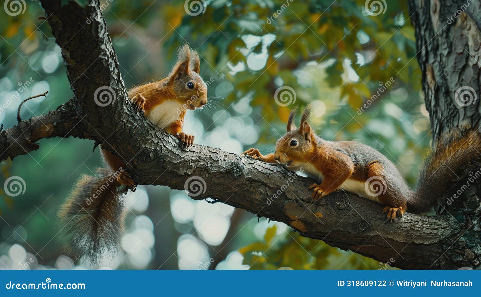 Funny Hilarious Squirrels Playing and Laughing in the Forest, Swinging ...