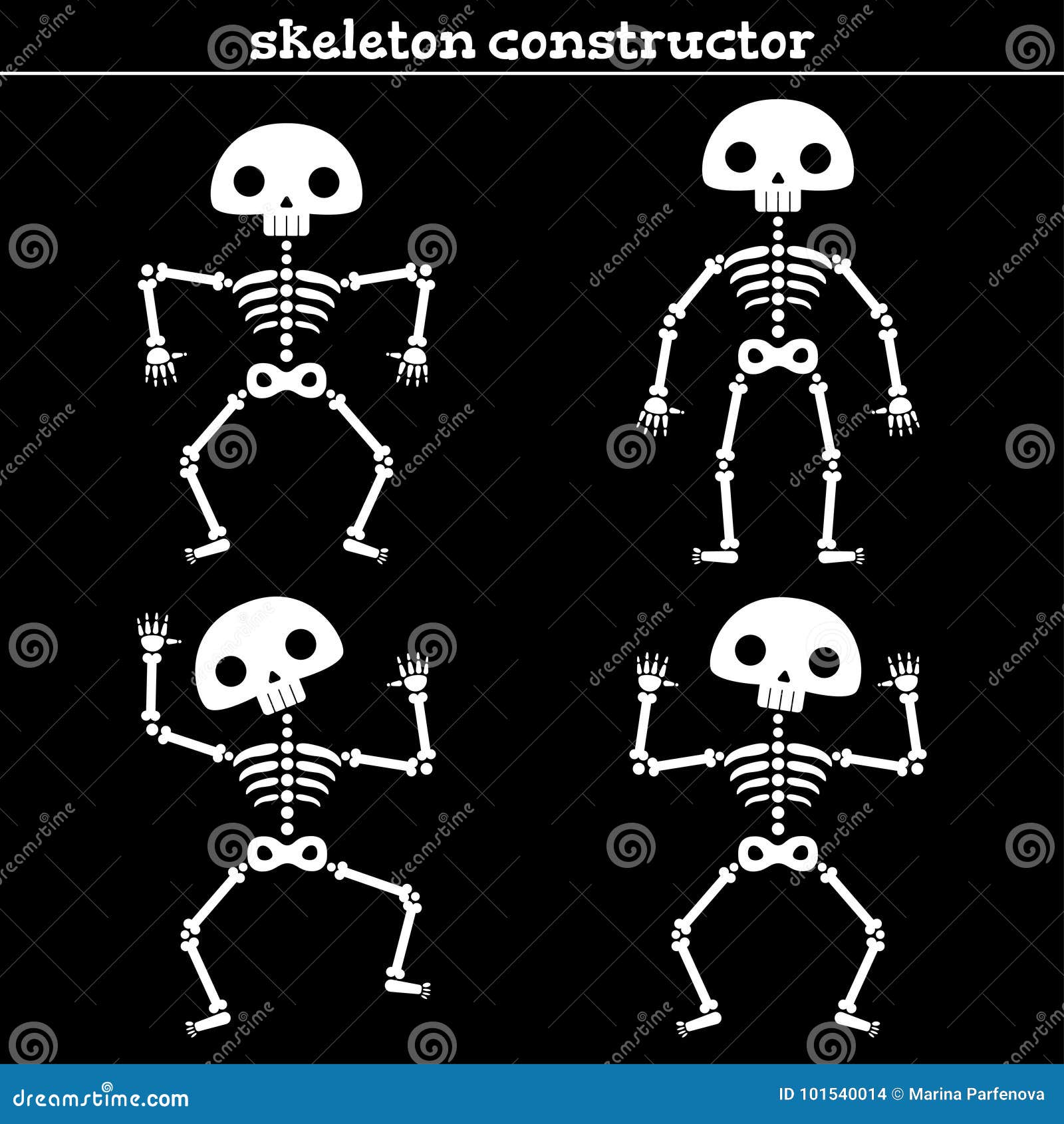 Funny human skeleton. stock vector. Illustration of background - 101540014