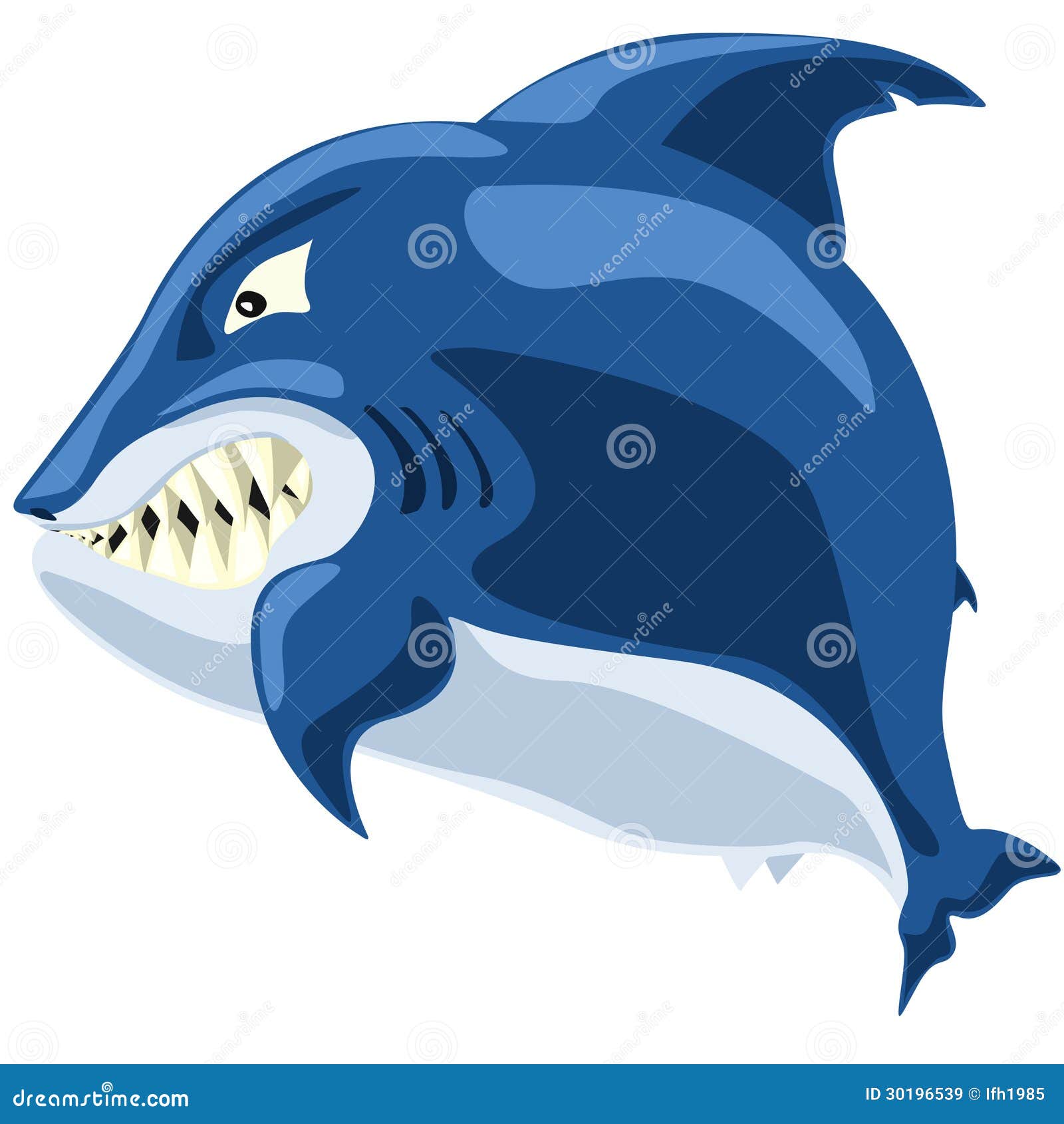 Shark angry stock illustration. Illustration of mammal - 30196539