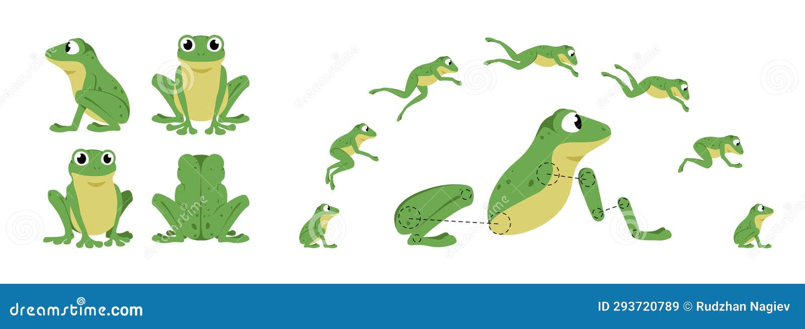 Funny Jumping Vector Frog stock vector. Illustration of natural - 293720789