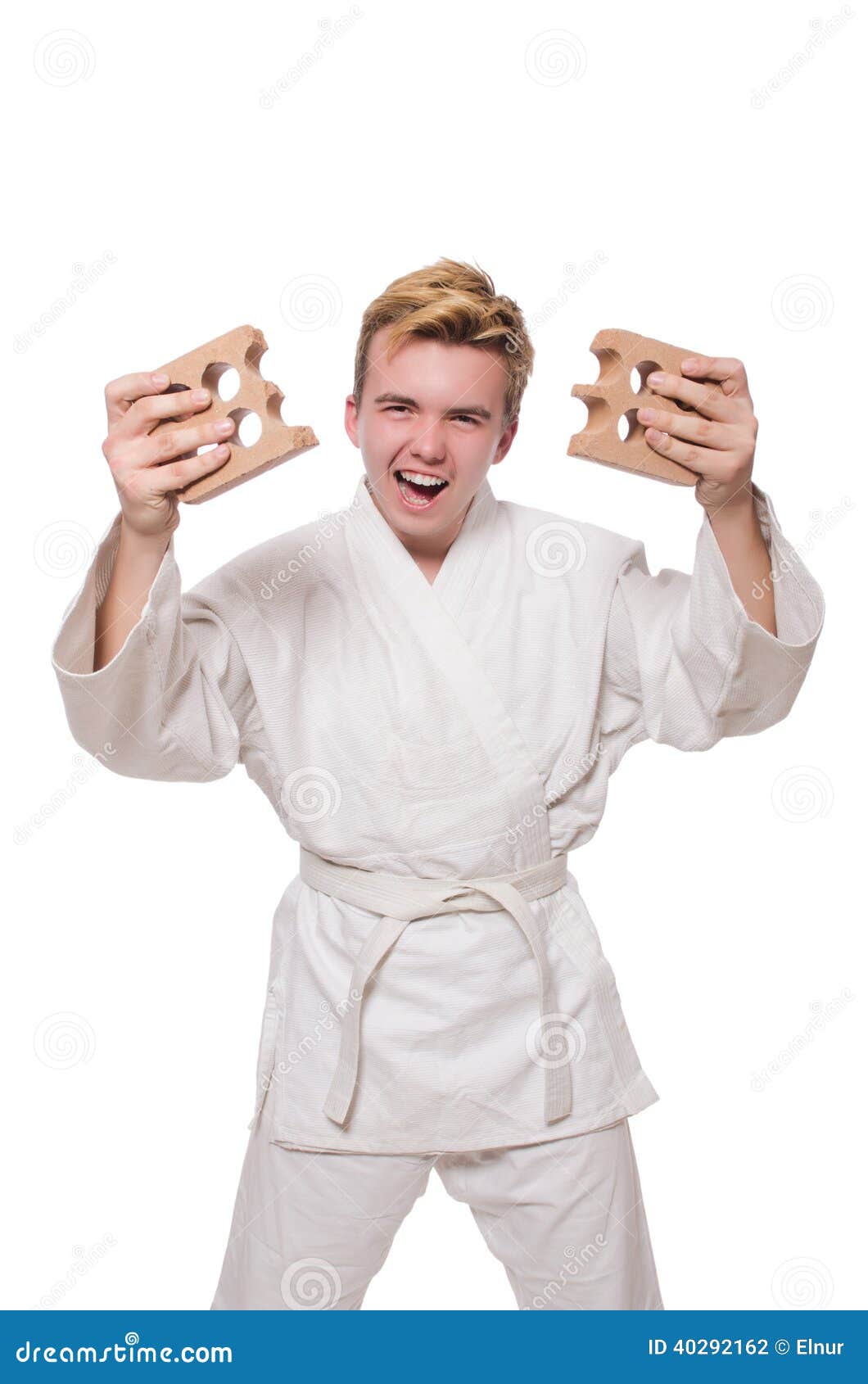 Funny Karate Man Breaking Bricks Stock Photo - Image of belt, humourous ...