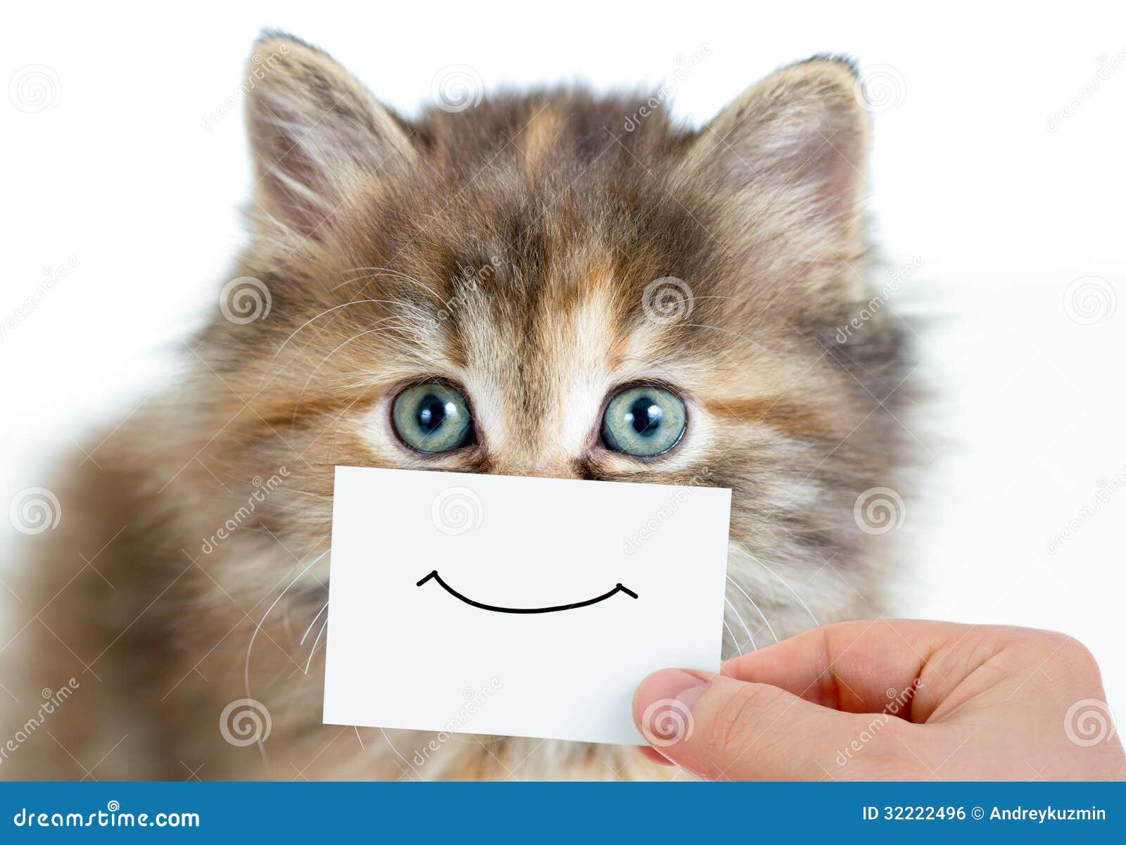 Smiling Kitten