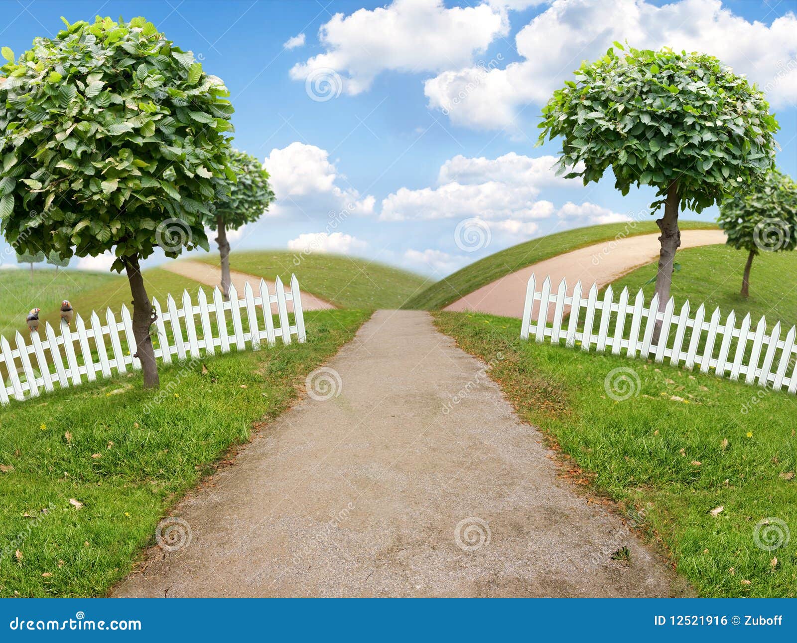 Funny Landscape stock photo. Image of garden, farm, lawn - 12521916