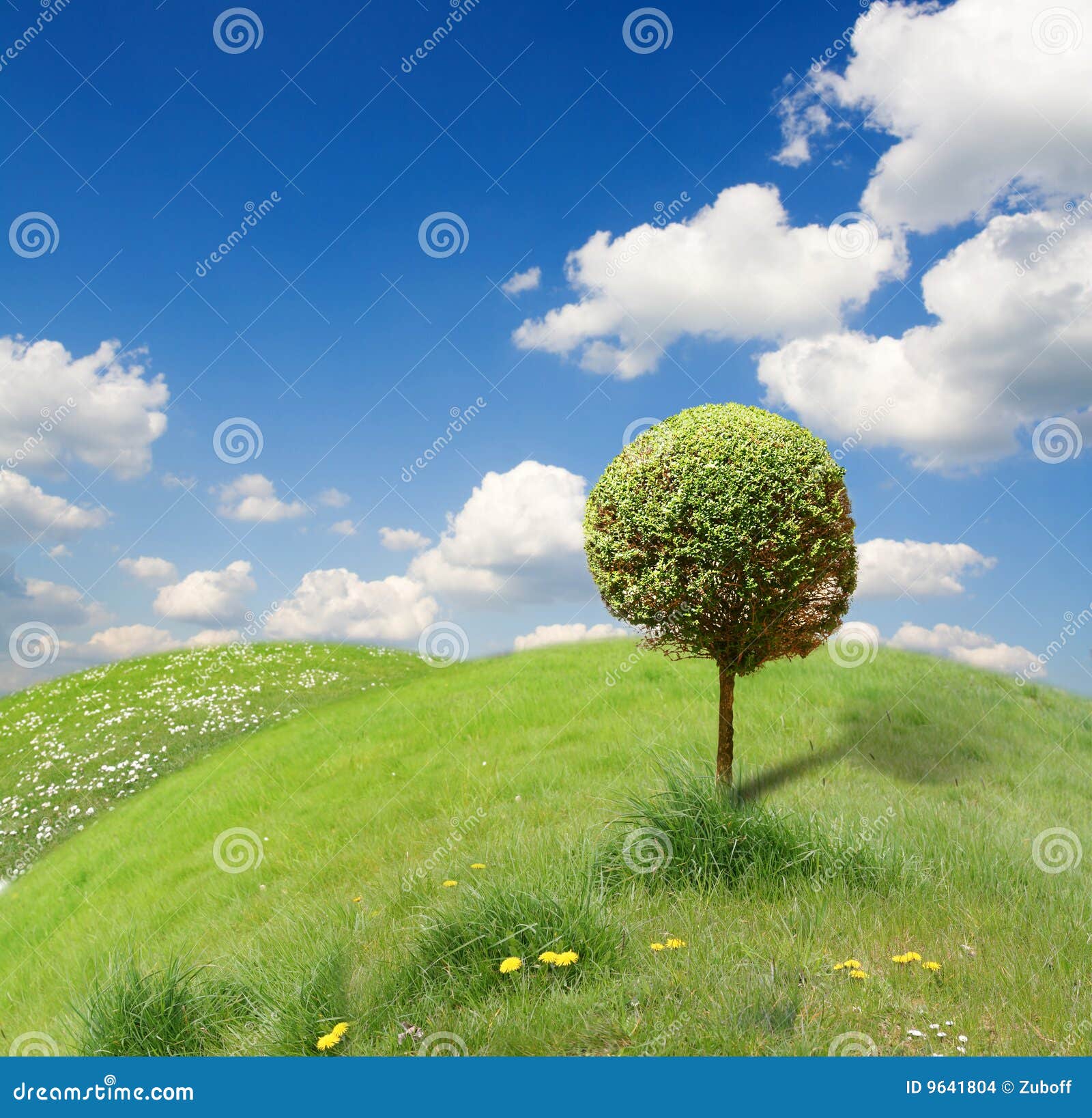 Funny landscape with tree stock photo. Image of green - 9641804