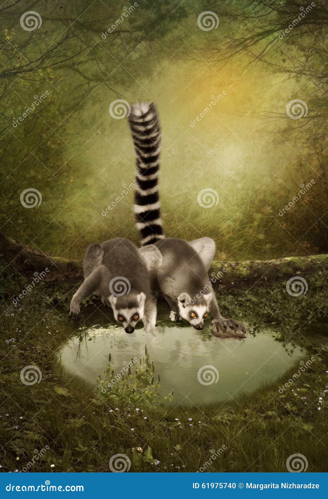 Funny lemurs stock photo. Image of amusing, forest, feline - 61975740