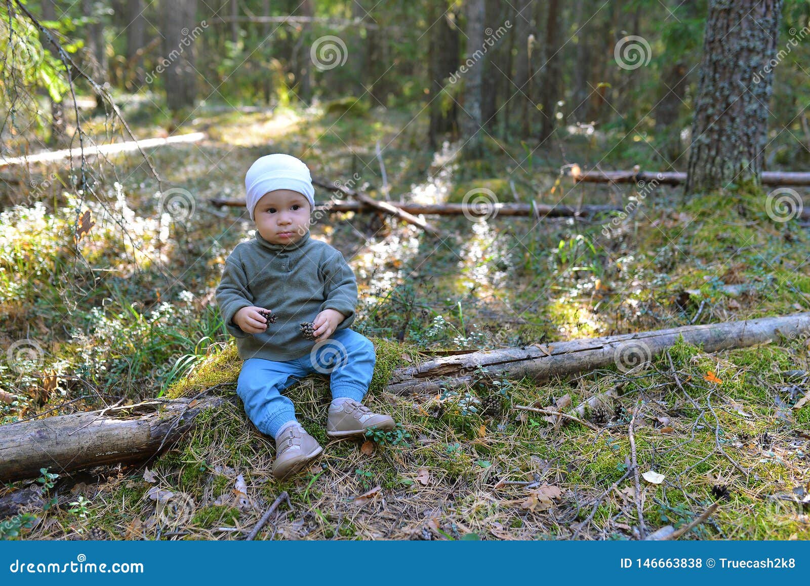 Funny Little Boy Playing with Pine Cones Sitting on the Floor Stock ...
