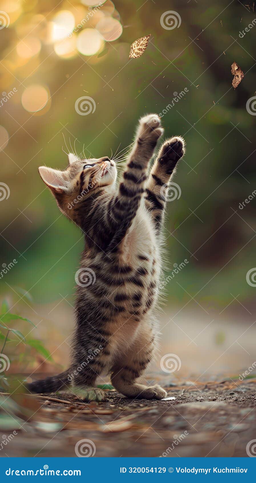 Funny Little Kitten Just Playing Stock Illustration - Illustration of ...