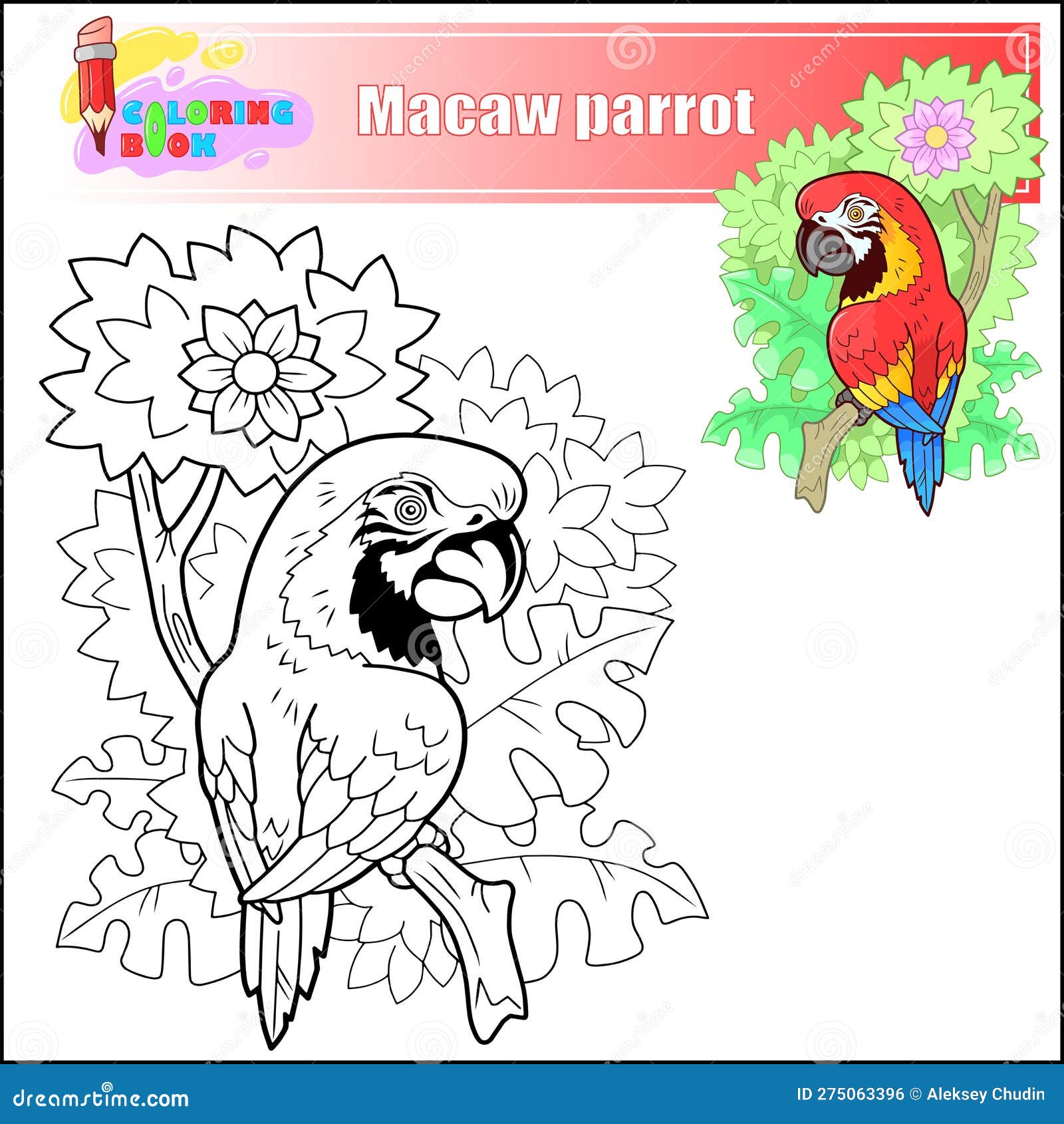 Macaw Linear Icon. Modern Outline Macaw Logo Concept On White Ba ...