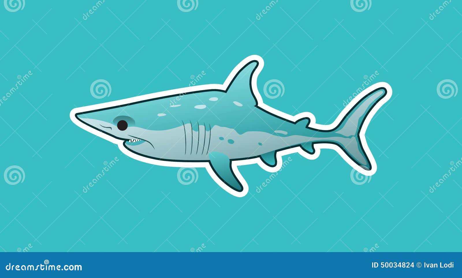 Shortfin Mako Shark Drawing