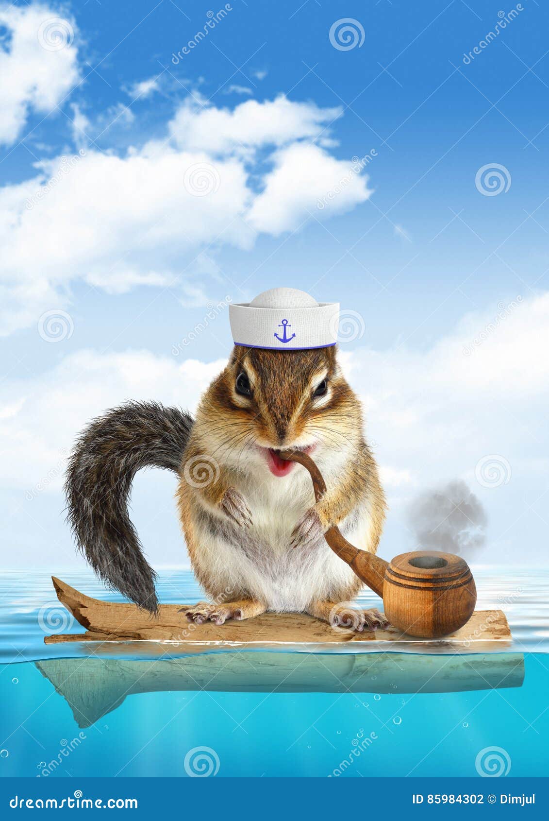 Funny Mariner Concept, Animal Chipmunk Floating Ocean Stock Photo ...