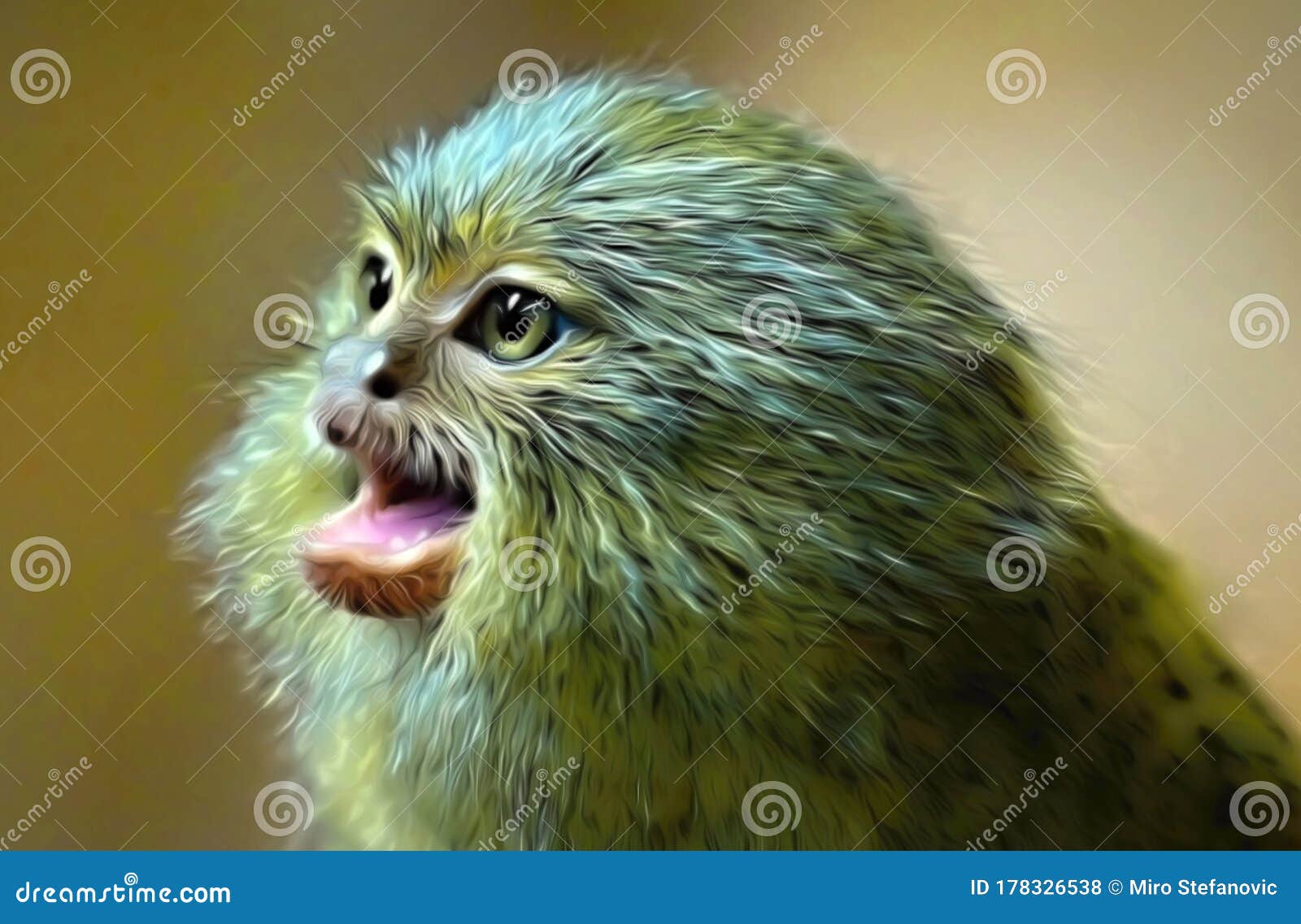 Funny monkey face stock photo. Image of egypt, capital - 178326538