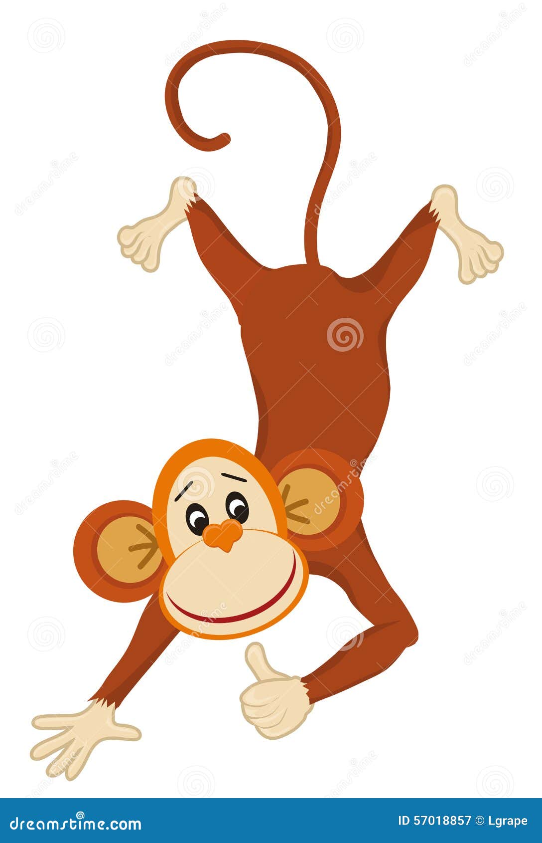 Funny Monkey on a White Background. Thumbs Up Stock Vector ...