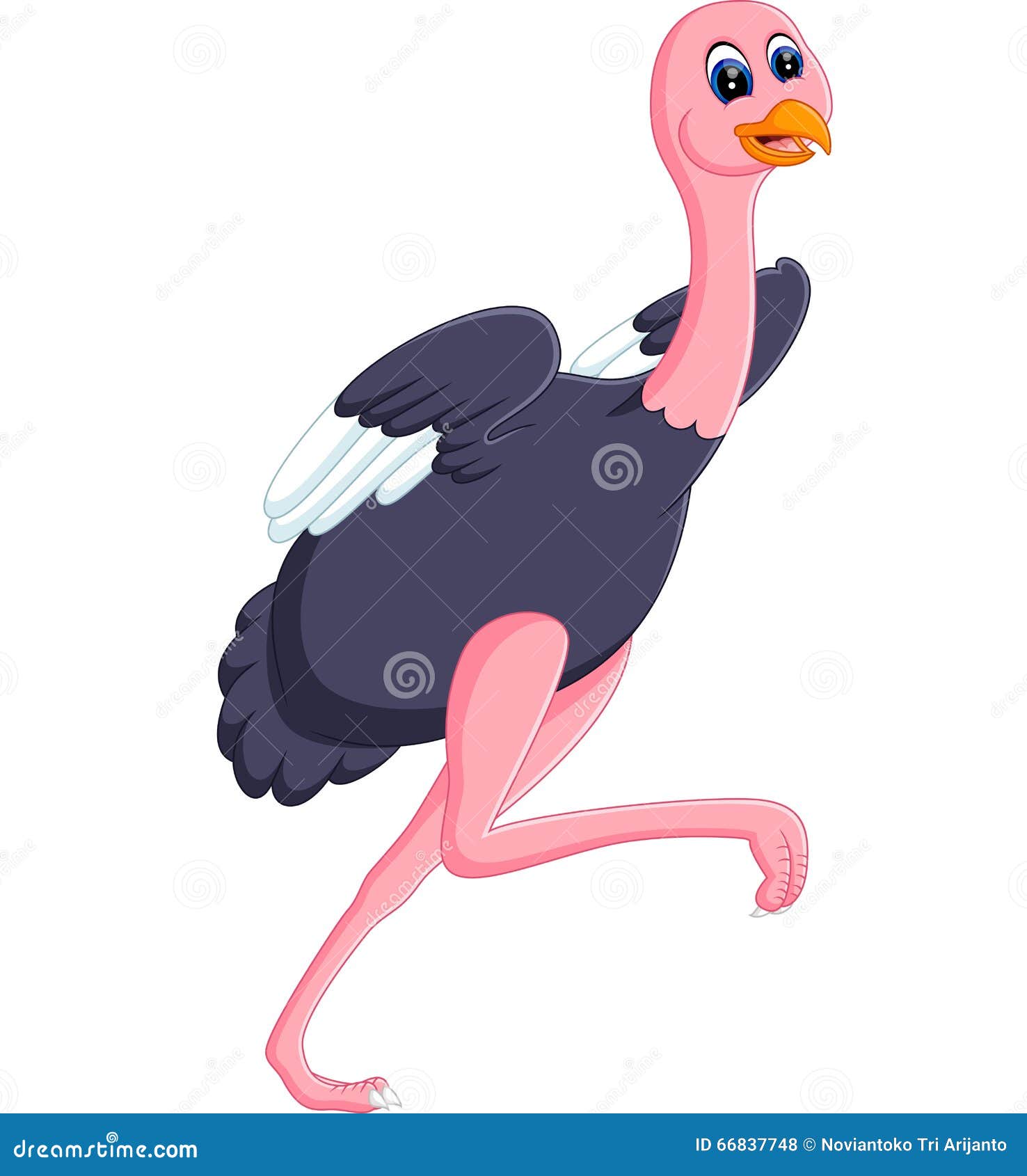Funny Ostrich Cartoon Royalty-Free Stock Photography | CartoonDealer ...