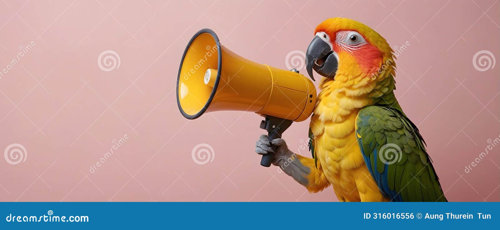 A Funny Parrot Holding a Megaphone Stock Photo - Image of financial ...