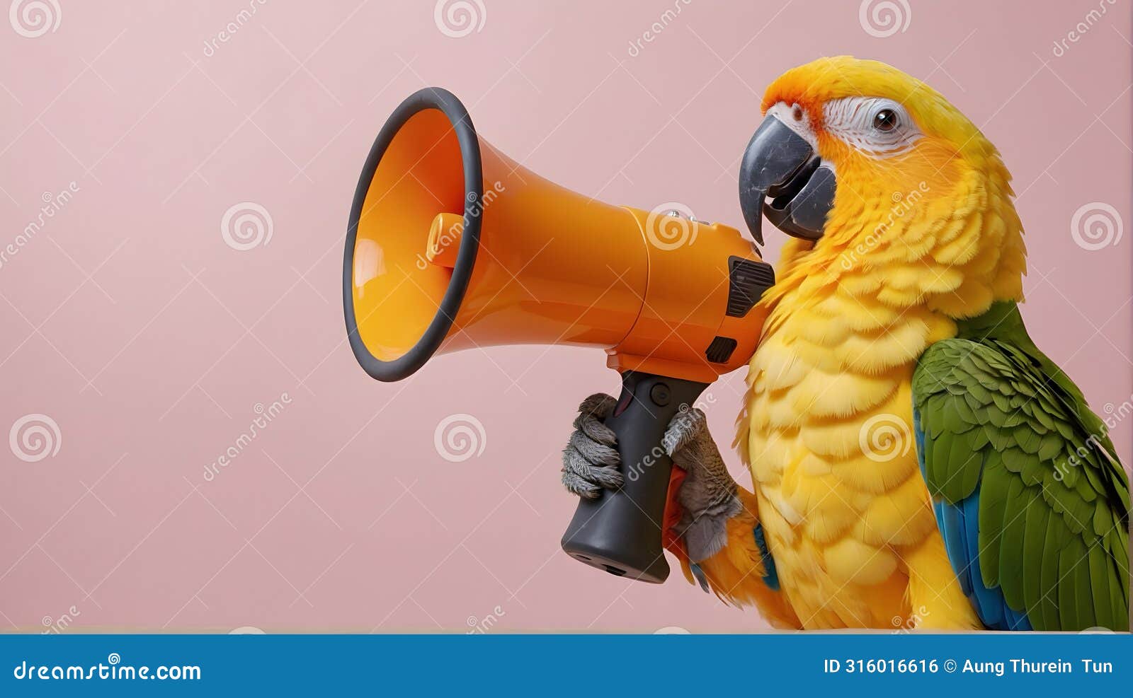 A Funny Parrot Holding a Megaphone Stock Photo - Image of work, bird ...
