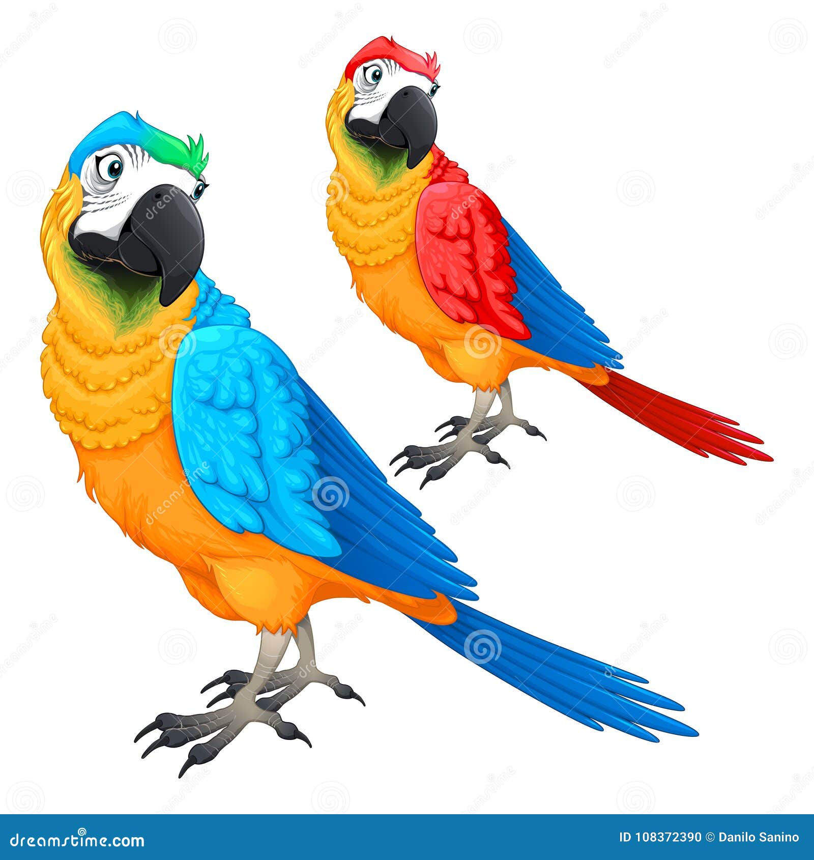 Funny Parrots in Two Different Colors Stock Vector - Illustration of ...