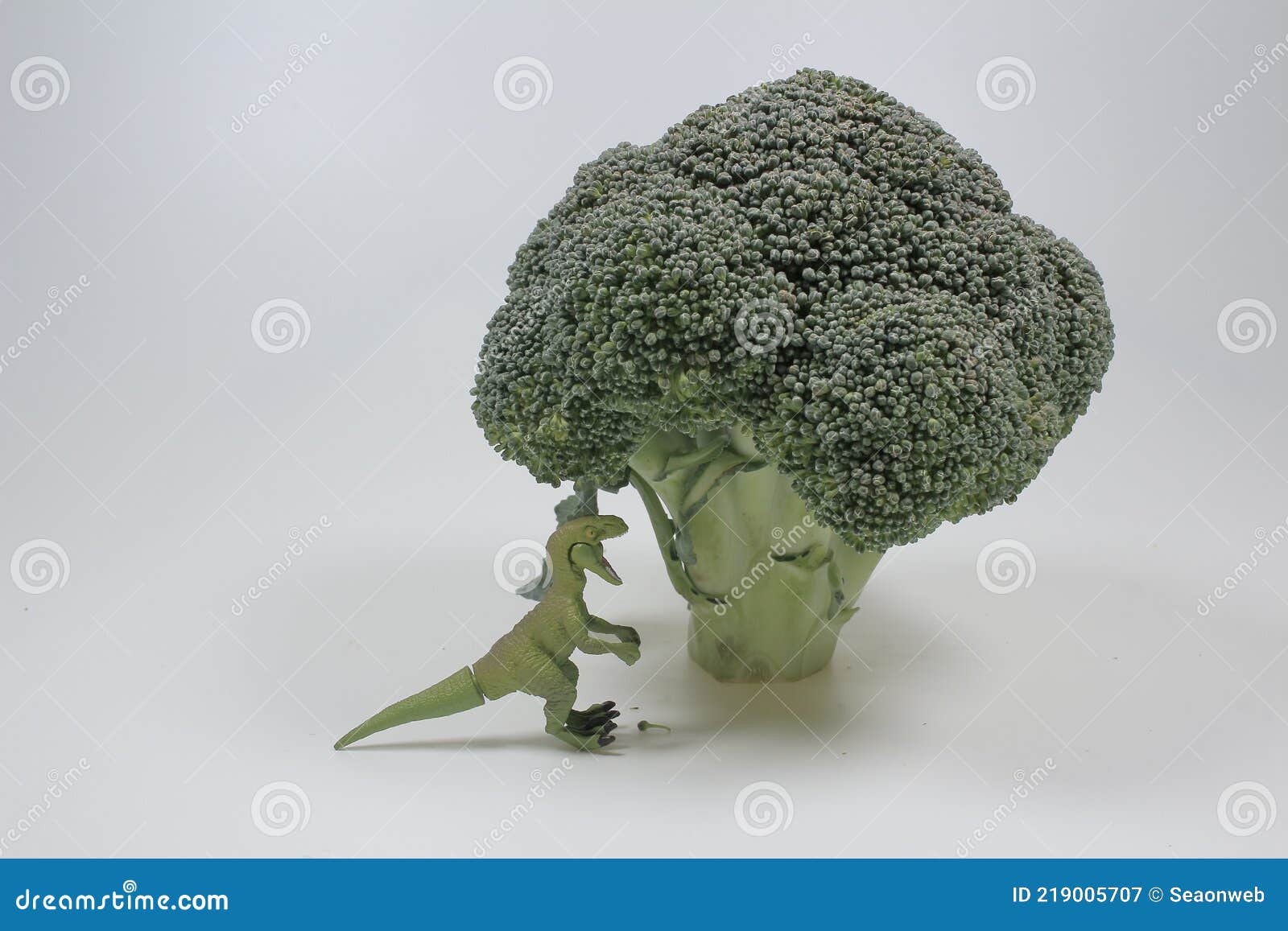 A Funny Picture of Toy Dinosaur Eating Broccoli Tree Stock Image ...