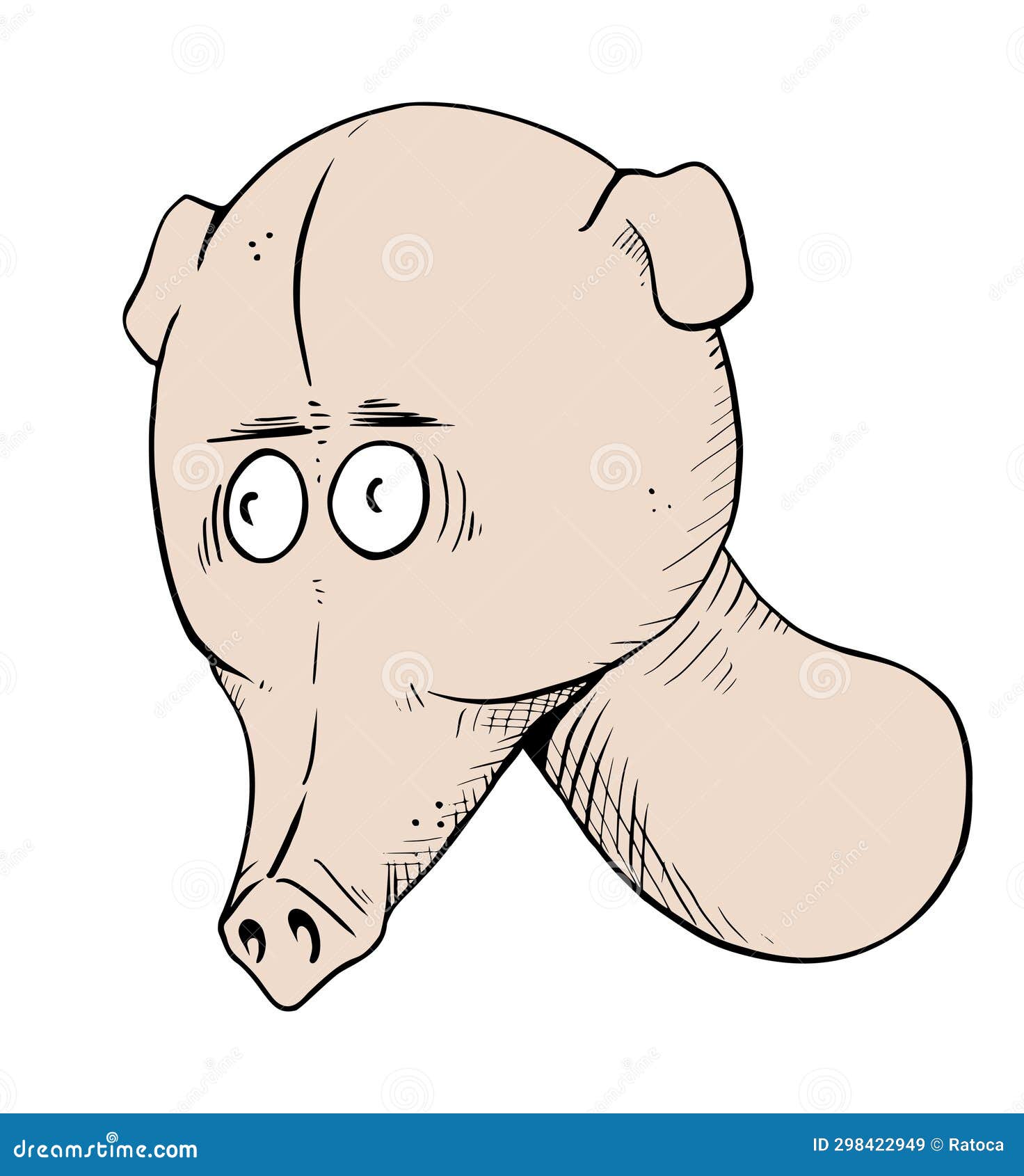 Funny pig head draw stock vector. Illustration of character - 298422949