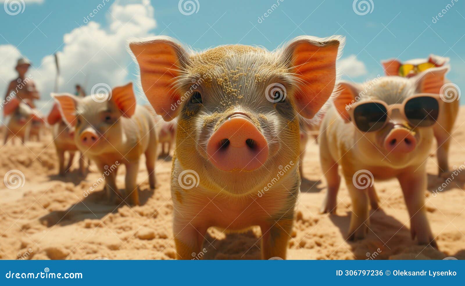 A Lot Of Funny Piglets On A Pink Background Cartoon Vector ...
