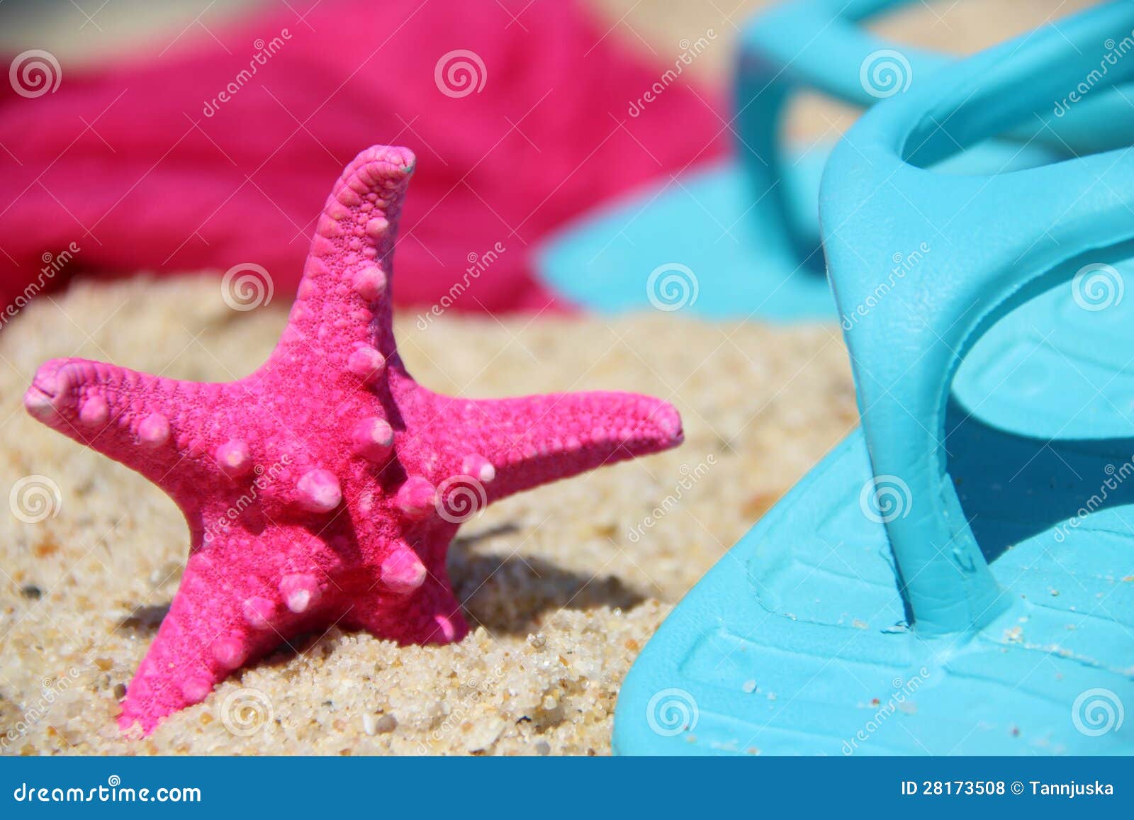 Funny Pink Starfish on the Seacost Stock Photo - Image of foam, marine ...
