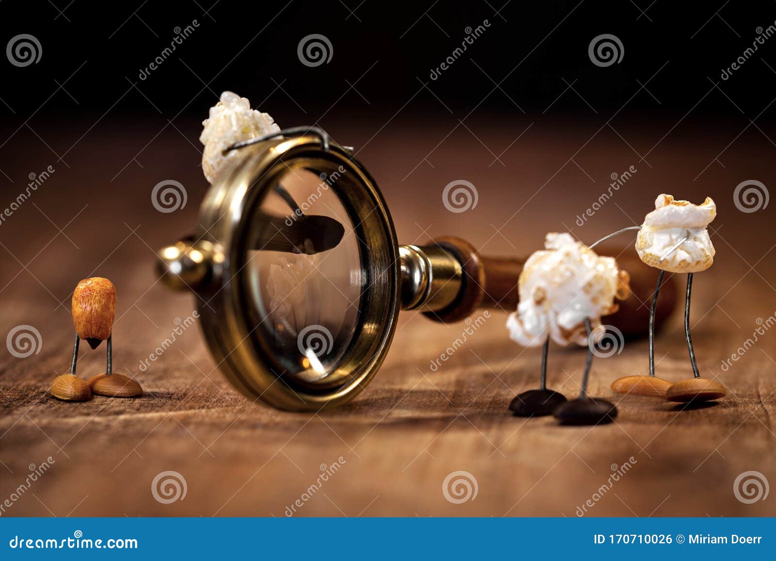 Funny Popcorn Figures are Examine a Raw Corn Stock Photo - Image of ...
