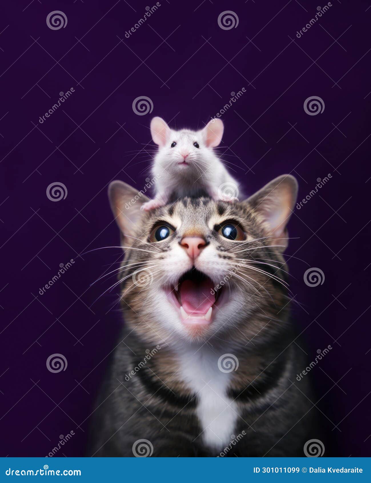 A Funny Portrait of a Cat and a Mouse Stock Illustration - Illustration ...
