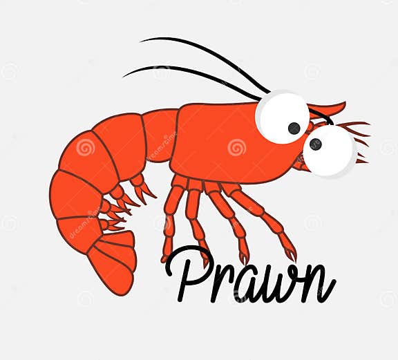 Funny Prawn Fish stock vector. Illustration of comic - 94295388