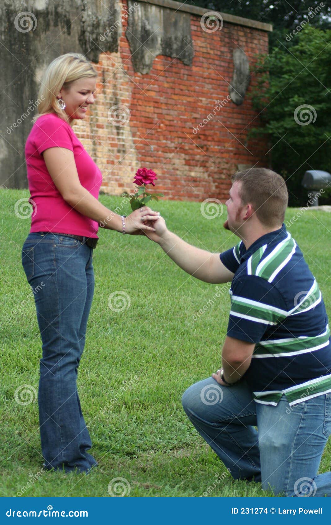 Funny Proposal stock photo. Image of relationship, proposal - 231274