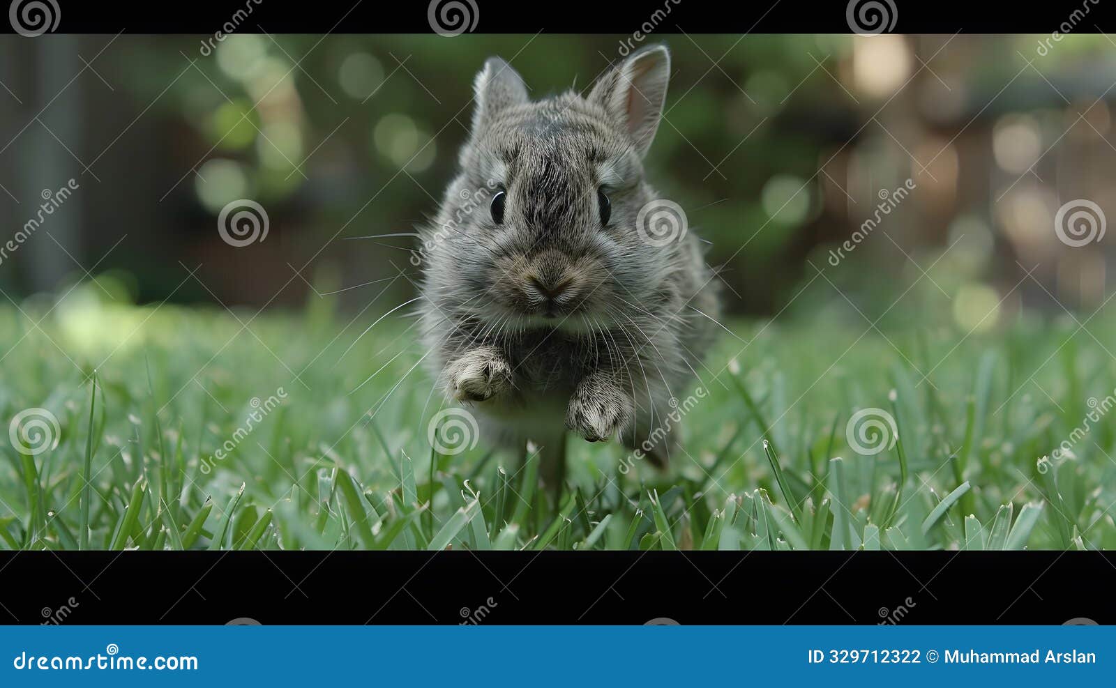 Funny Rabbit Flying. Image of a Playful Tabby Rabbit Jumping in Mid-air ...